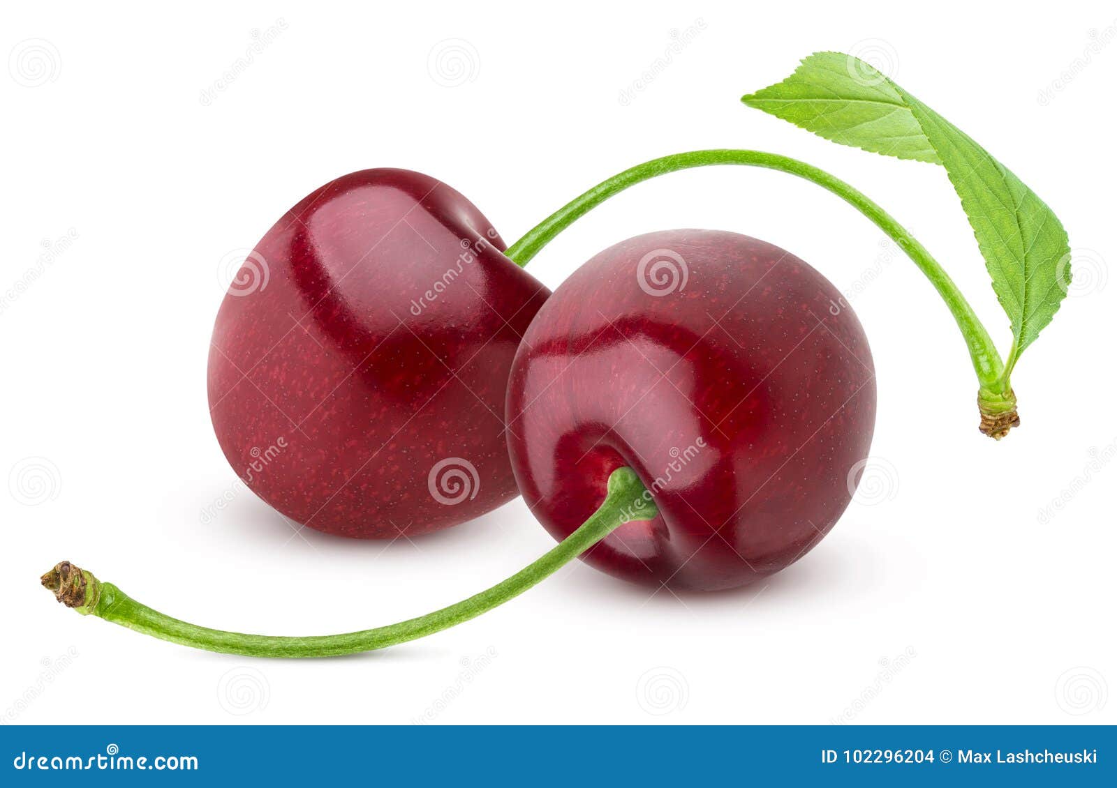 Cherry Isolated. Two Fresh Cherries on White Background Stock Photo ...