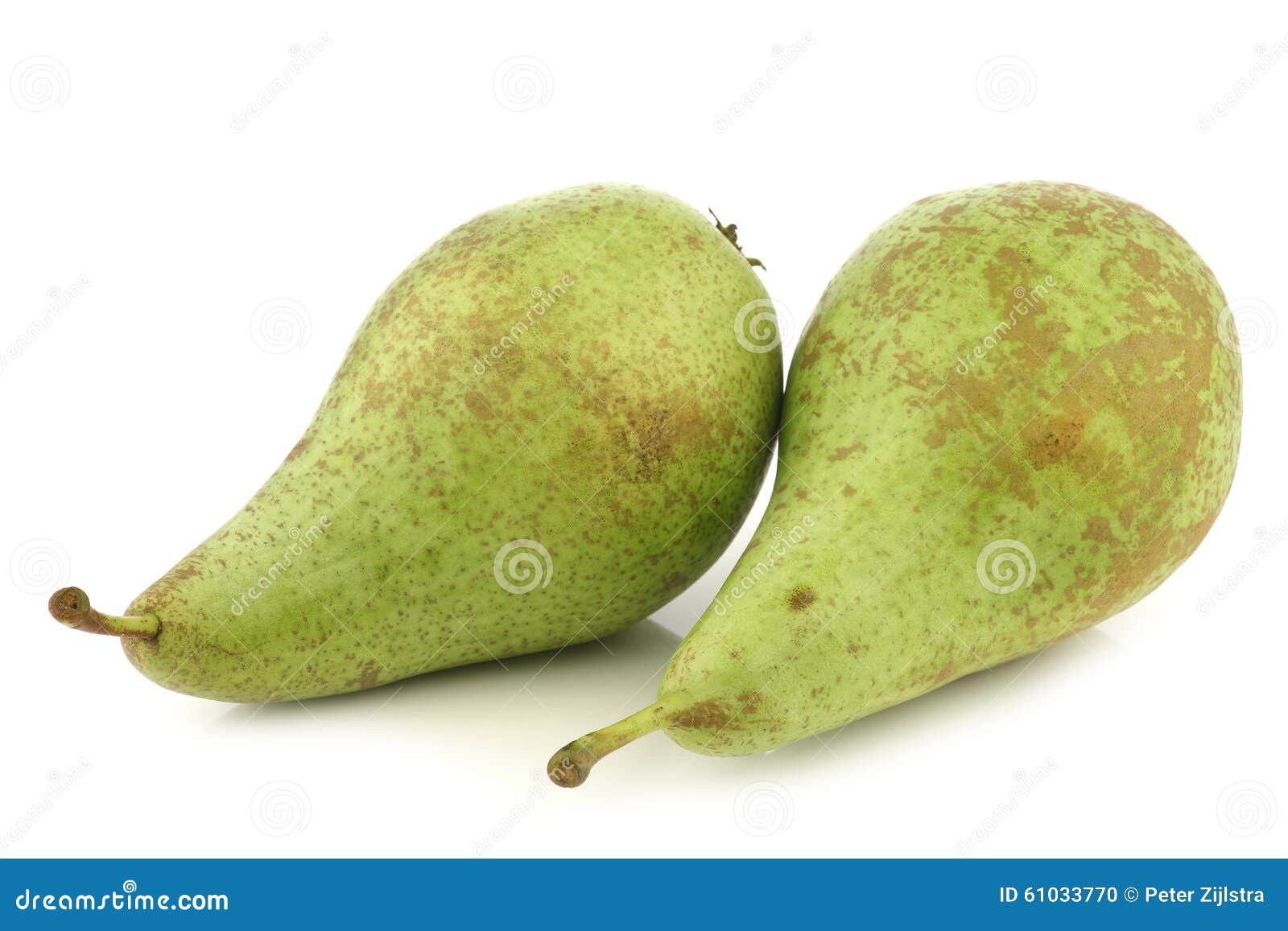 Two fresh conference pears stock photo. Image of stem - 61033770