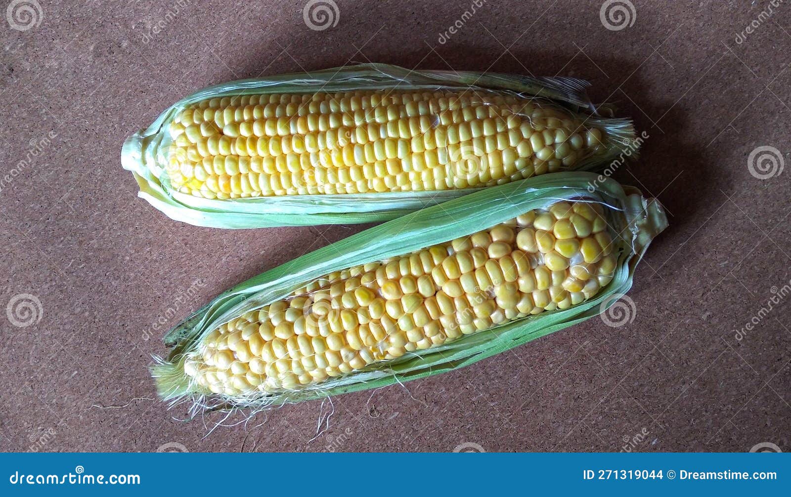 Two Fresh Corns Horizontal Position Stock Photo - Image of food, yellow ...