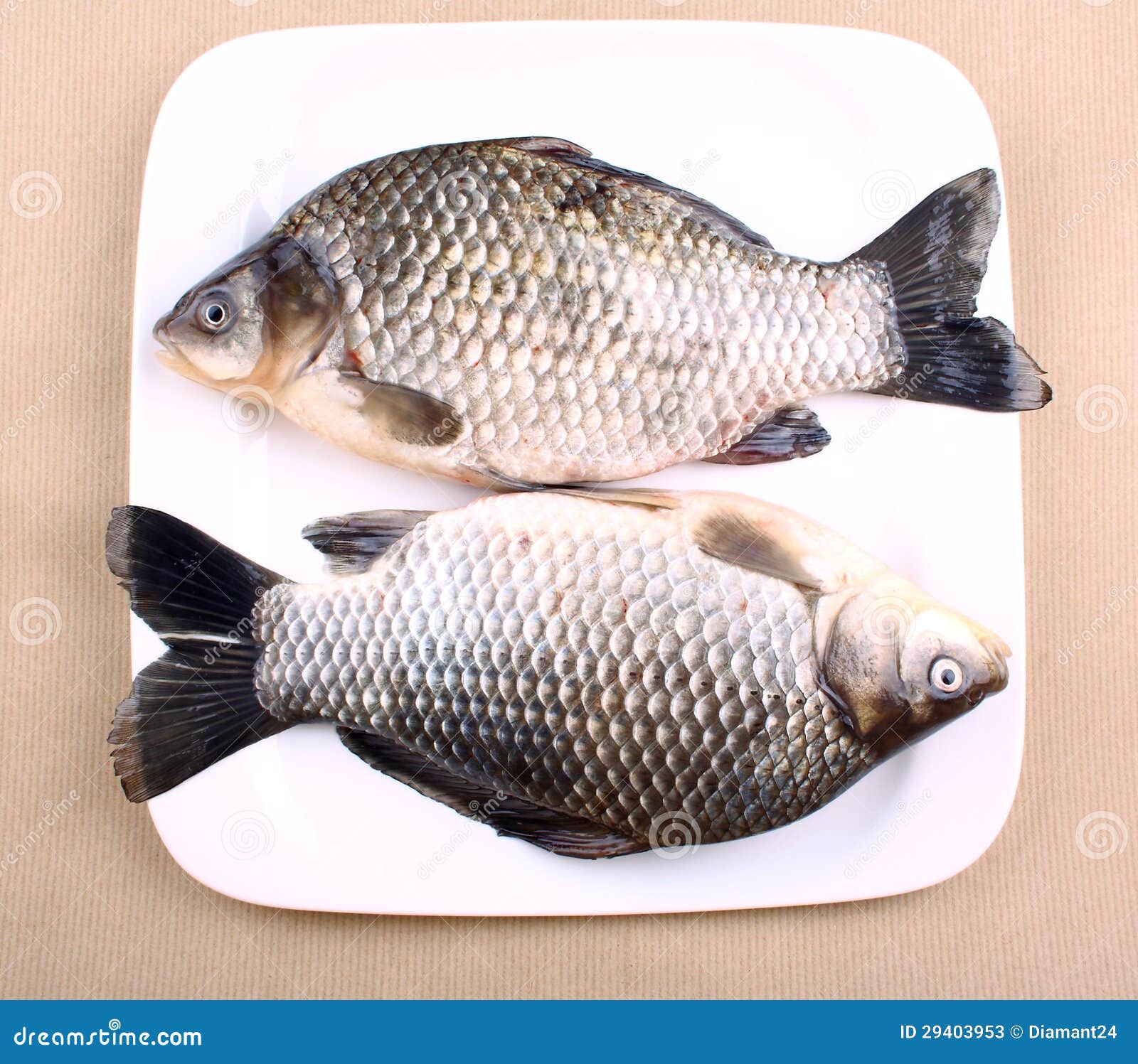Two Fresh Fish Carp on White Plate Stock Image - Image of freshness ...