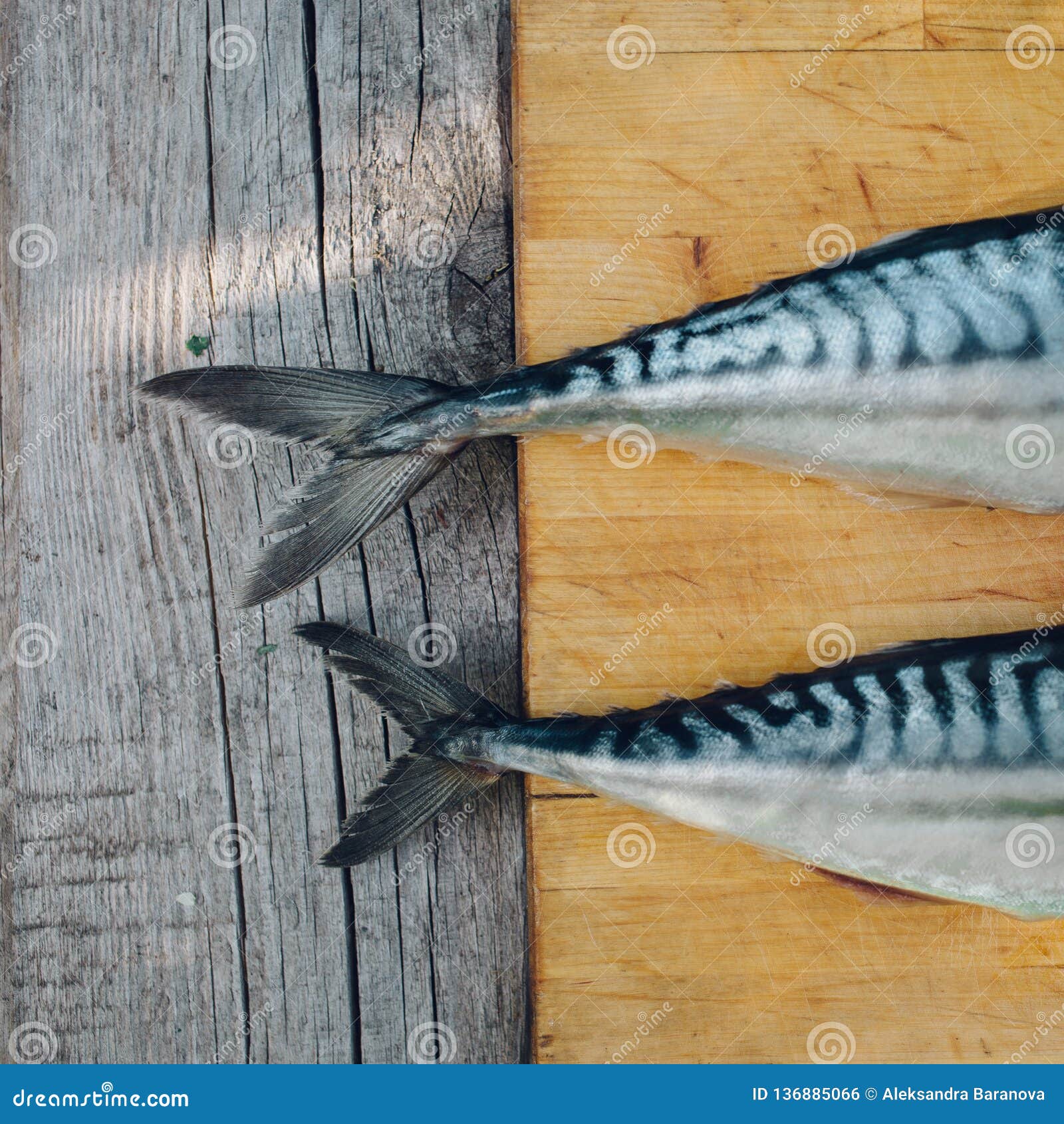 Two Fresh Fish on a Cutting Board, Cooking Mackerel,fish Tails Close Up ...