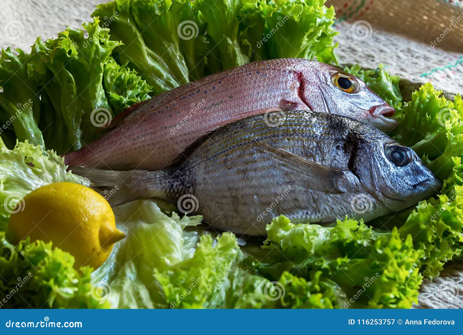 Two fresh fish with lemon stock image. Image of nutrition - 116253757