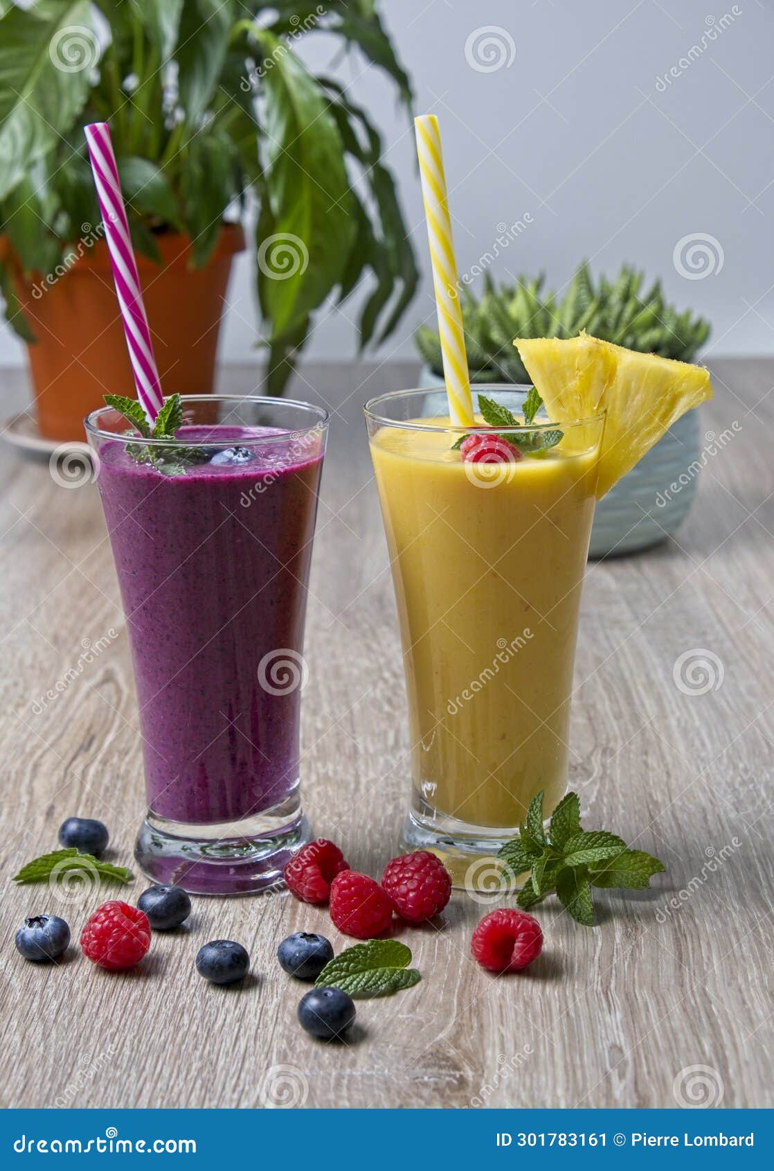 Two Fresh Fruit Smoothies with Berries Lying in Front of Glasses Stock ...