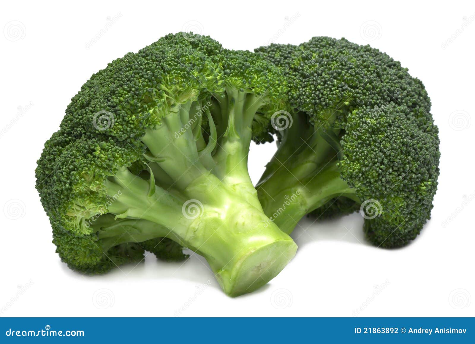 Two fresh green broccoli. stock photo. Image of organic - 21863892