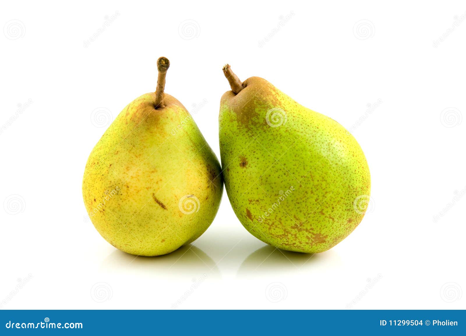 Two fresh healthy pears stock photo. Image of pear, couple - 11299504