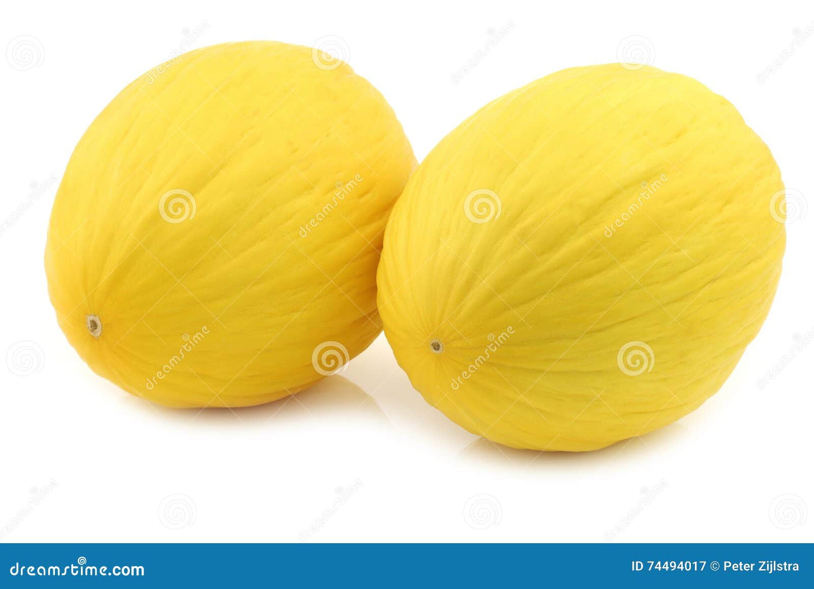 Two fresh honey melons stock image. Image of round, honey - 74494017