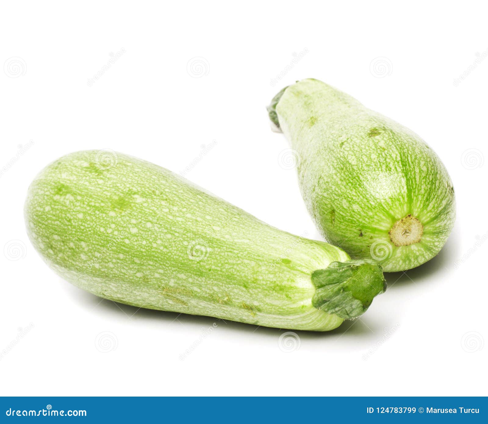 Two Fresh Isolated Marrow Sqwash Stock Image - Image of green, marrow ...