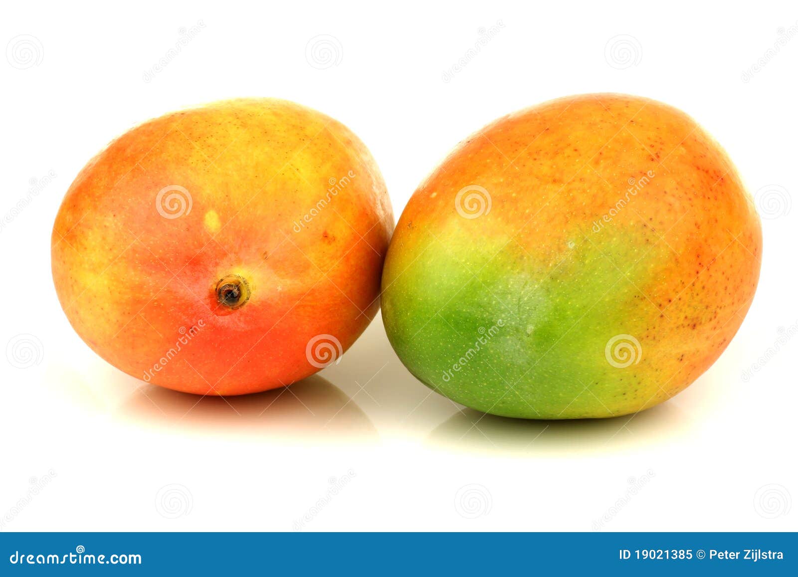 Two fresh mango fruits stock image. Image of sweet, vitamins - 19021385