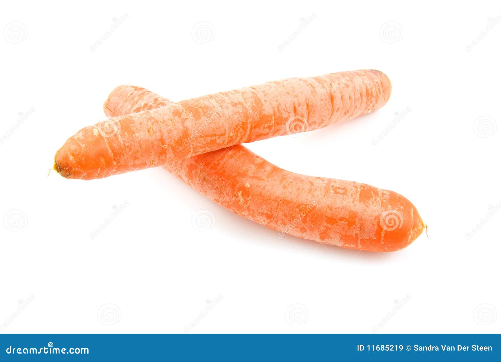 Two fresh orange carrot stock image. Image of dinner - 11685219