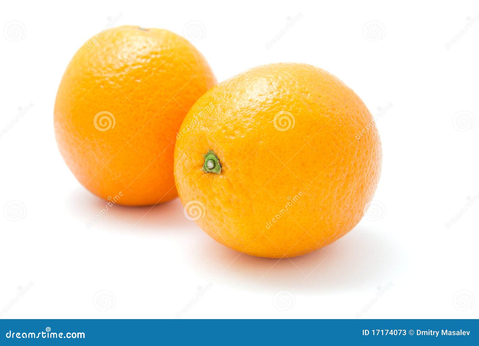 Two fresh oranges stock image. Image of lushly, health - 17174073