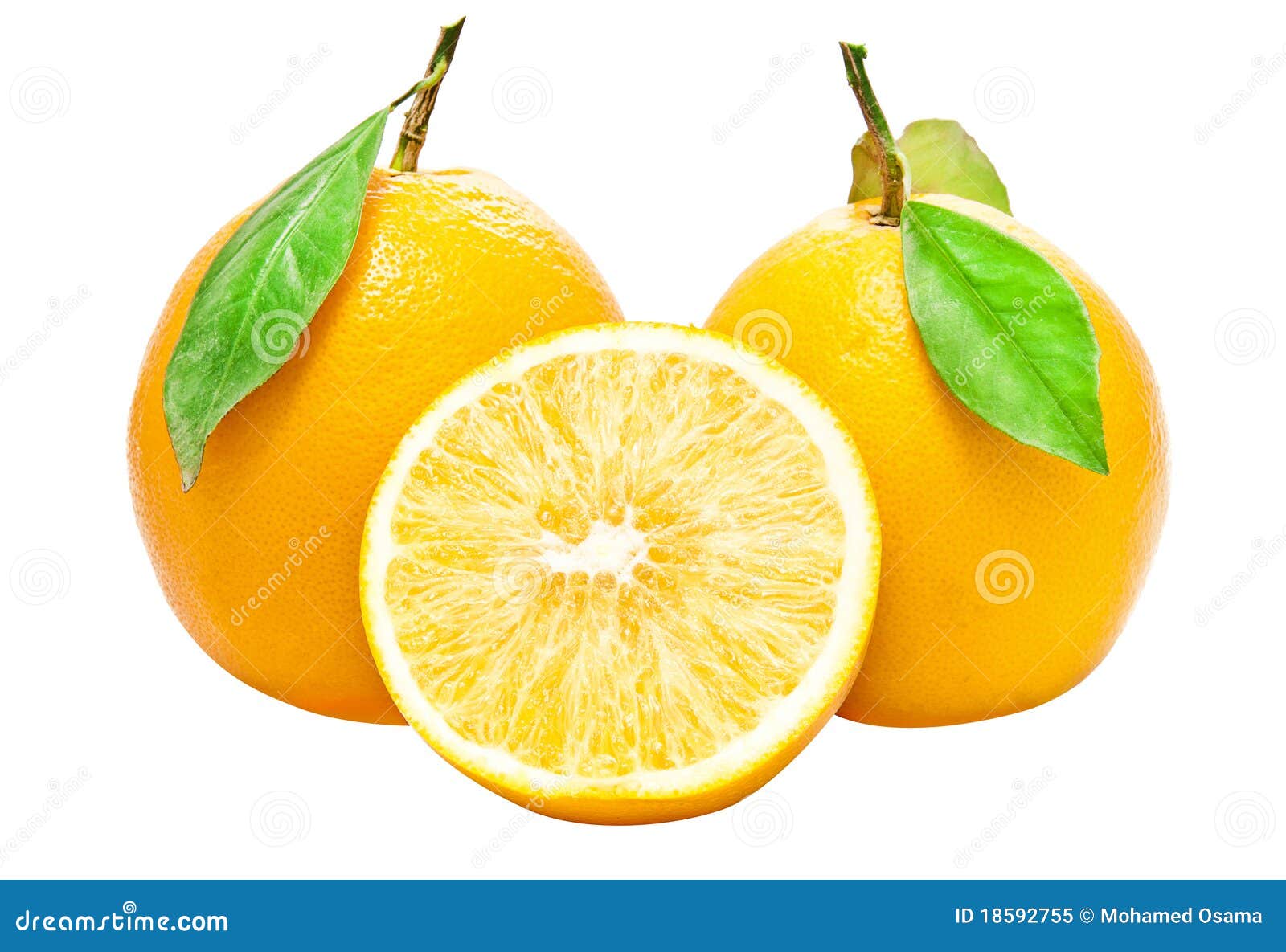 Two Fresh Oranges stock vector. Illustration of fruits - 18592755