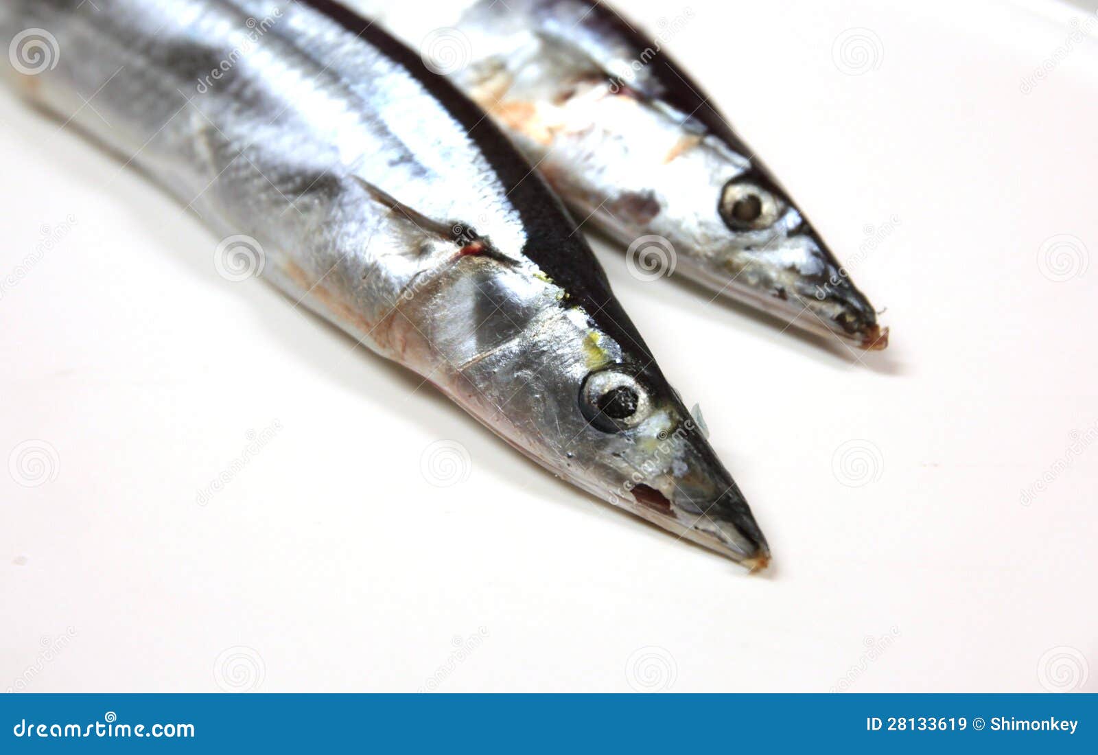 Two Fresh Pacific Saury Fishes Stock Image - Image of gill, saury: 28133619