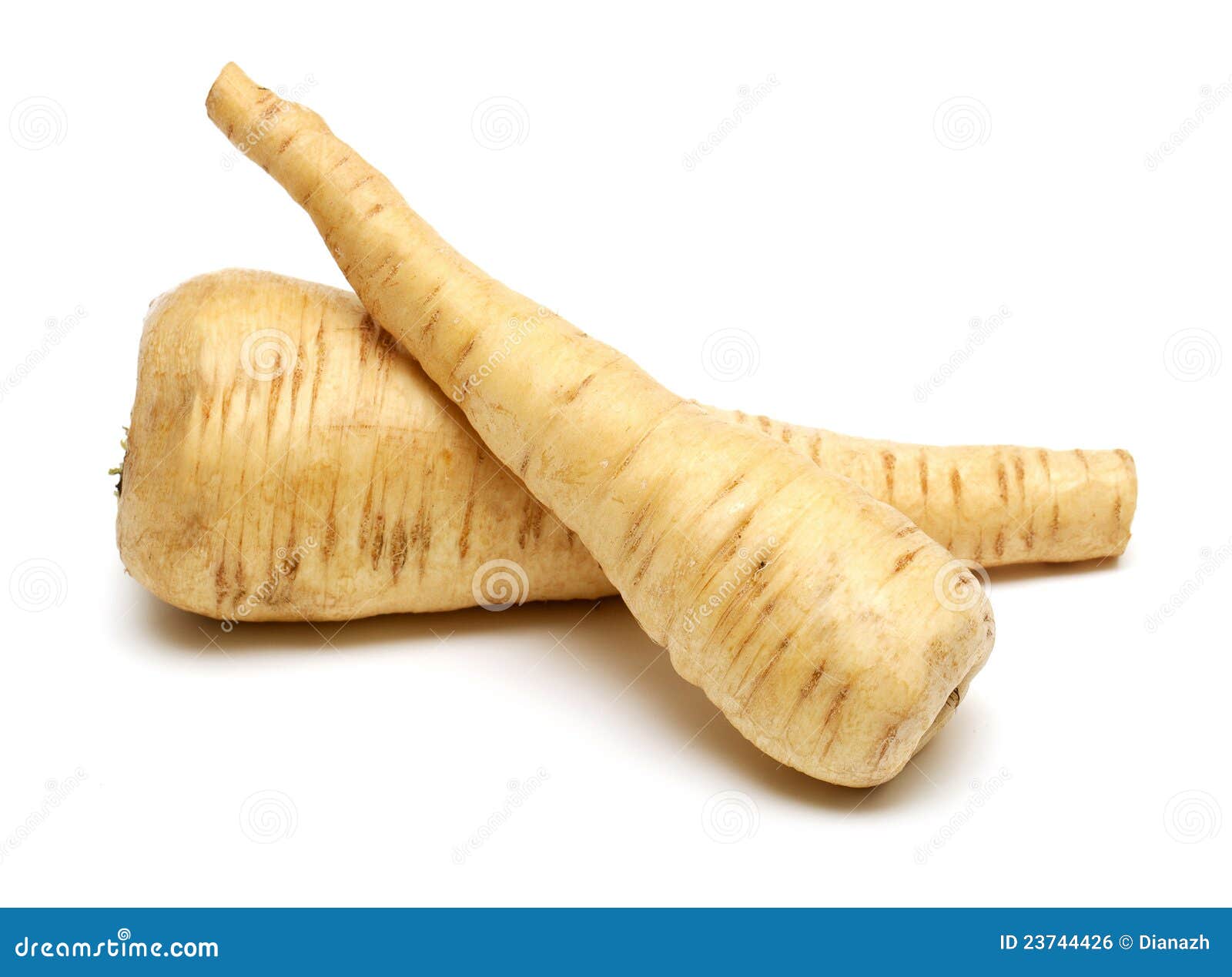 Parsnip Root