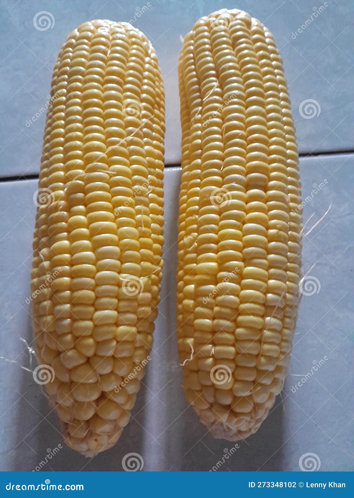 Two Fresh Peeled Corns Ready To Cook Stock Photo - Image of corns ...