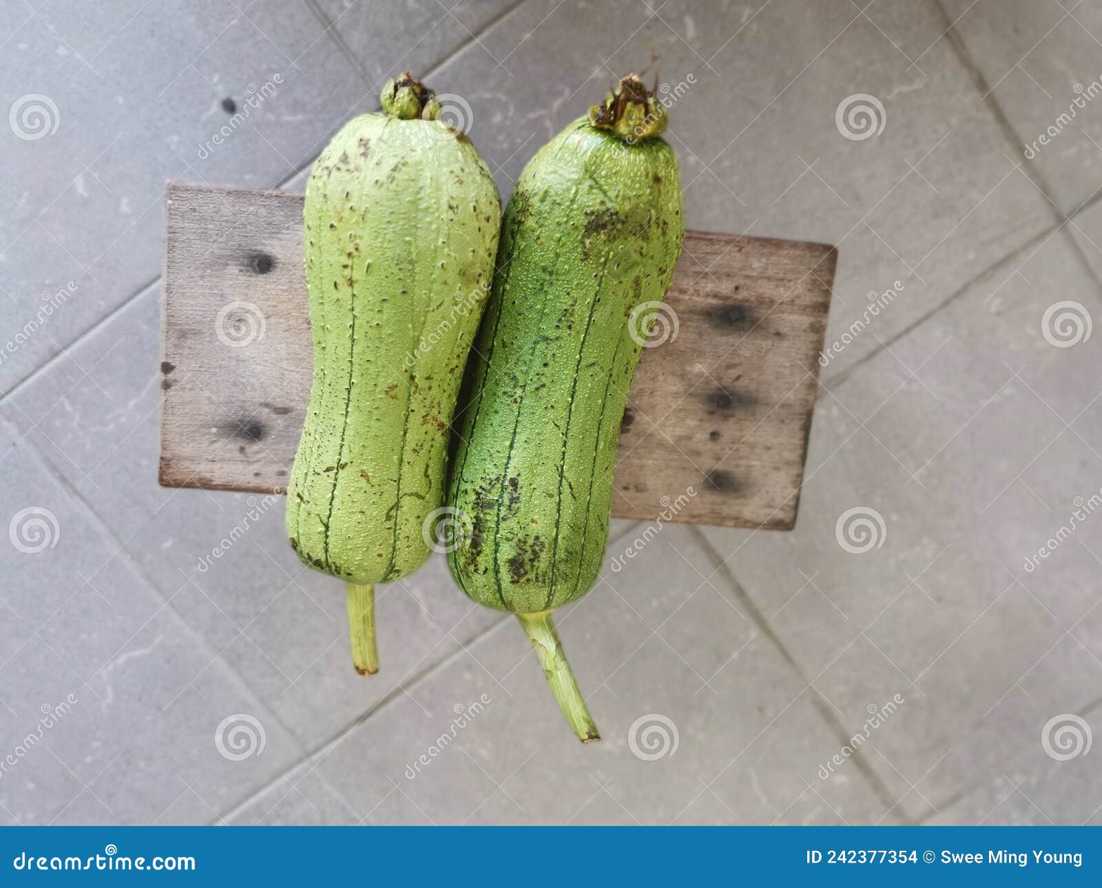 Two Fresh Plucked Luffa Sigua Vegetable. Stock Photo - Image of china ...