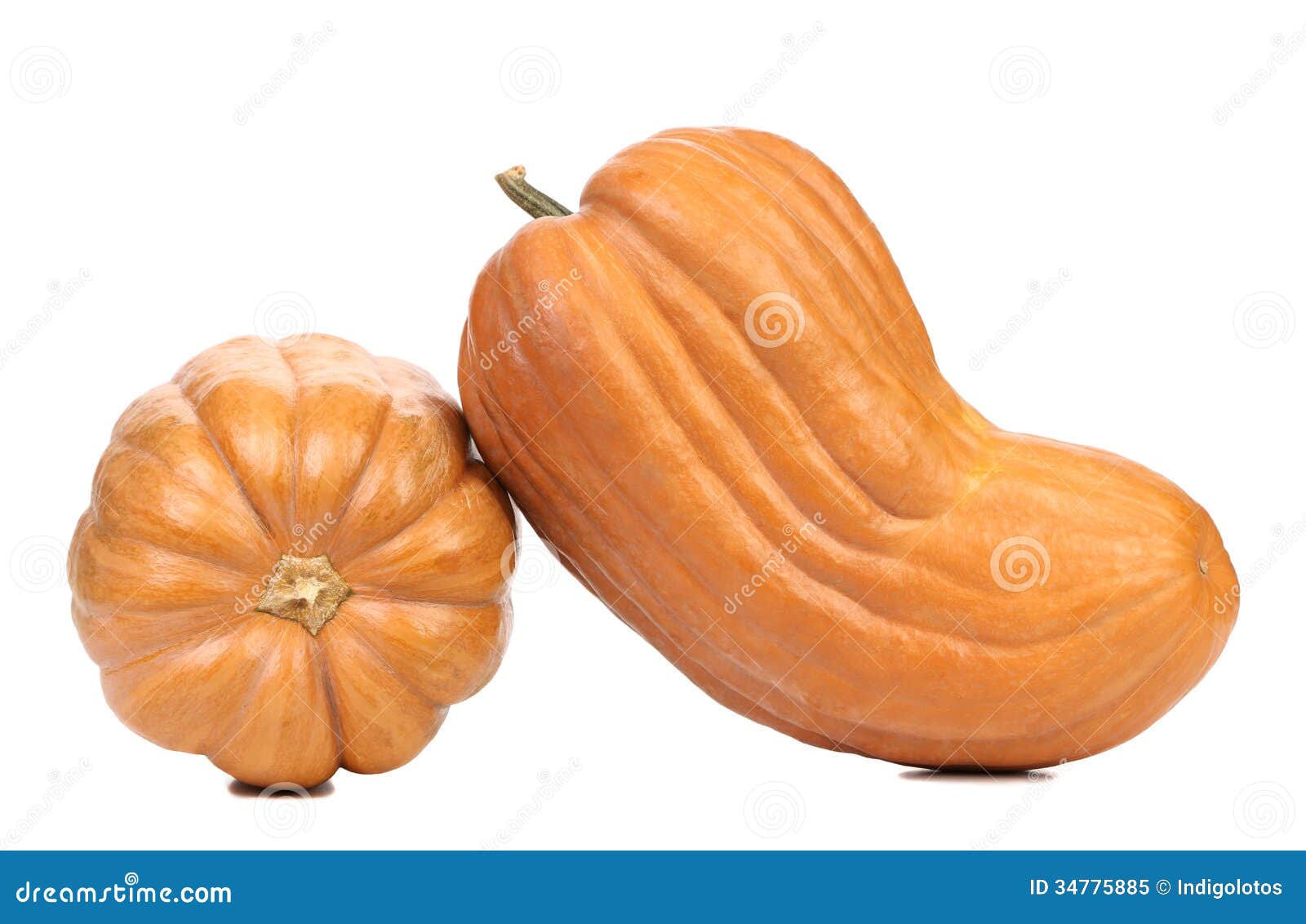 Two fresh pumpkins. stock image. Image of fresh, decorative - 34775885