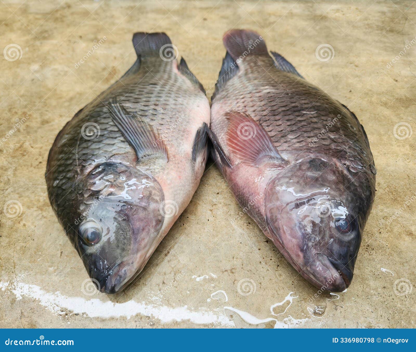 Two Tilapia Fish on the Stone Table Stock Photo - Image of healthy ...