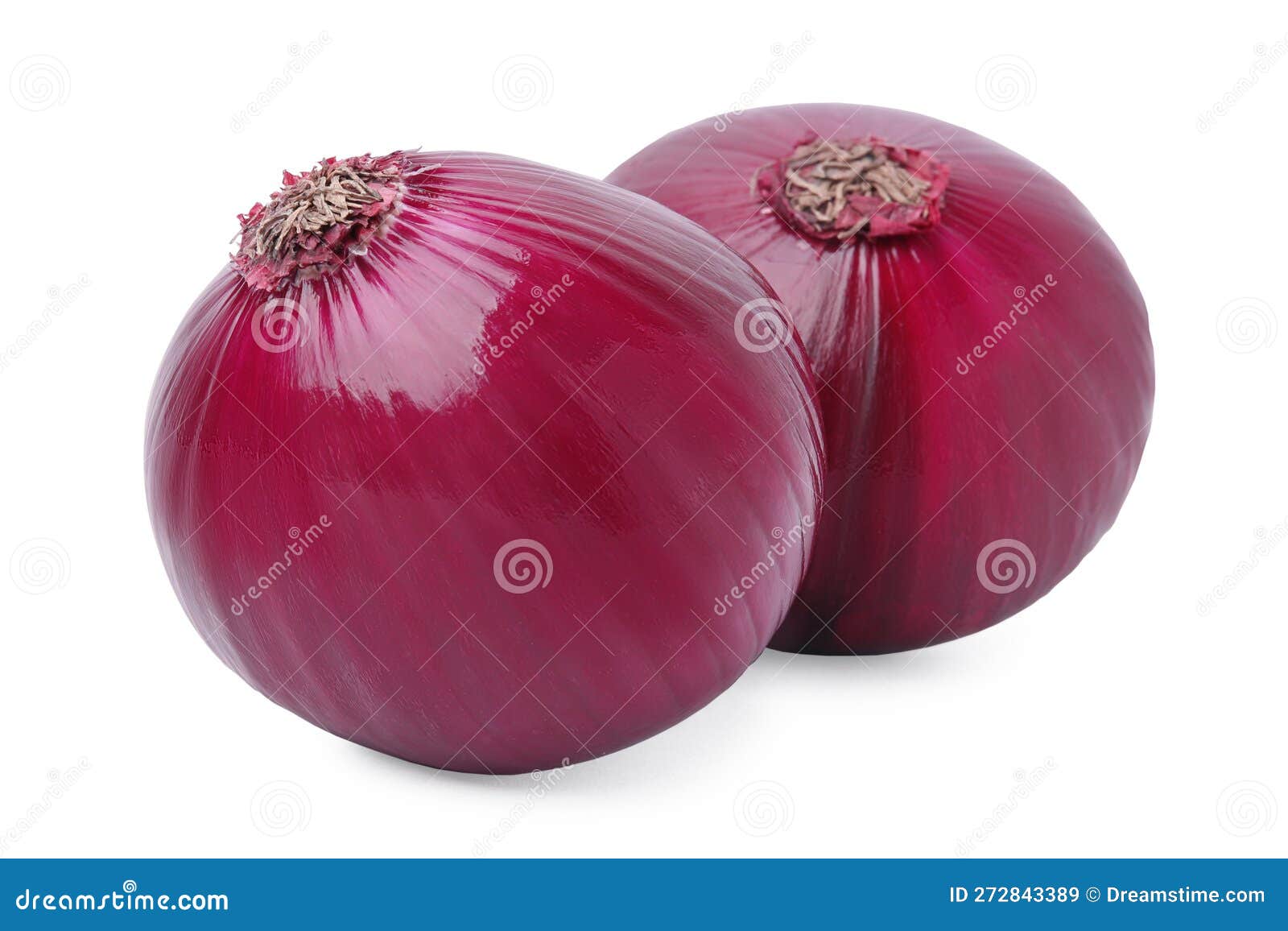 Two Fresh Red Onions on White Background Stock Image - Image of diet ...