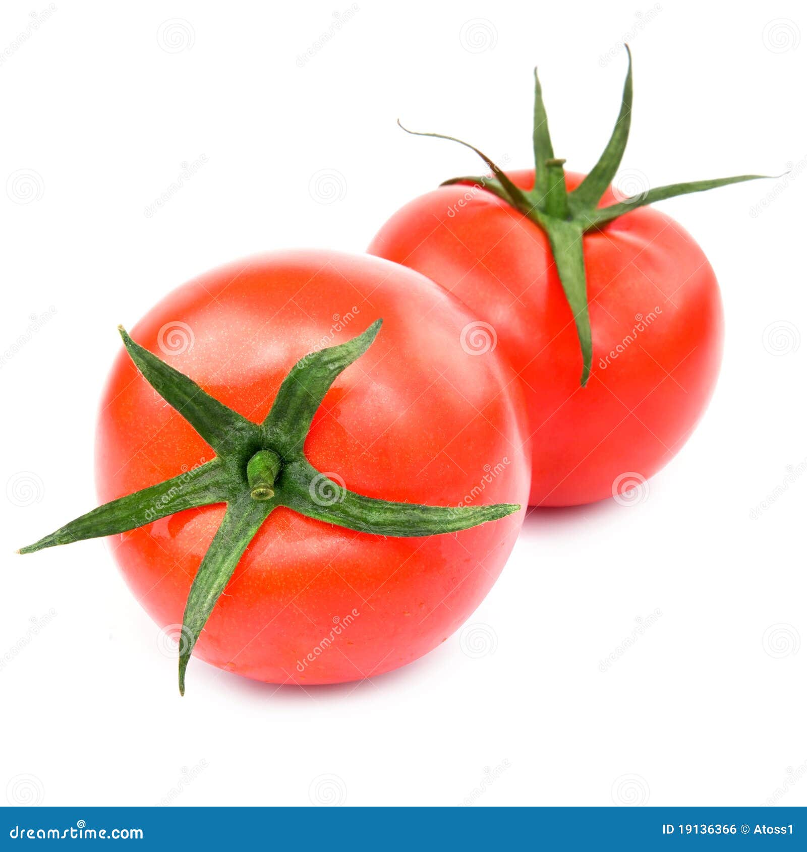 Two fresh red tomato stock photo. Image of juicy, isolated - 19136366