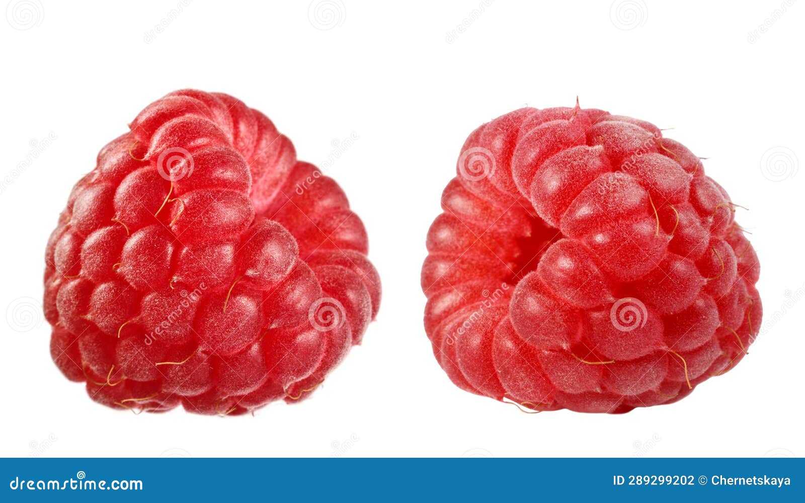 Two Fresh Ripe Raspberries Isolated on White Stock Photo - Image of ...