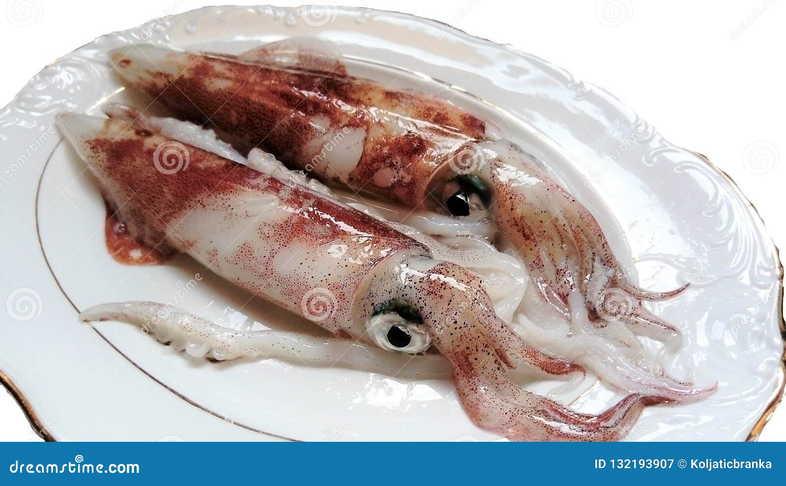 Two Fresh Squid on a White Plate Stock Image - Image of closeup, fruits ...