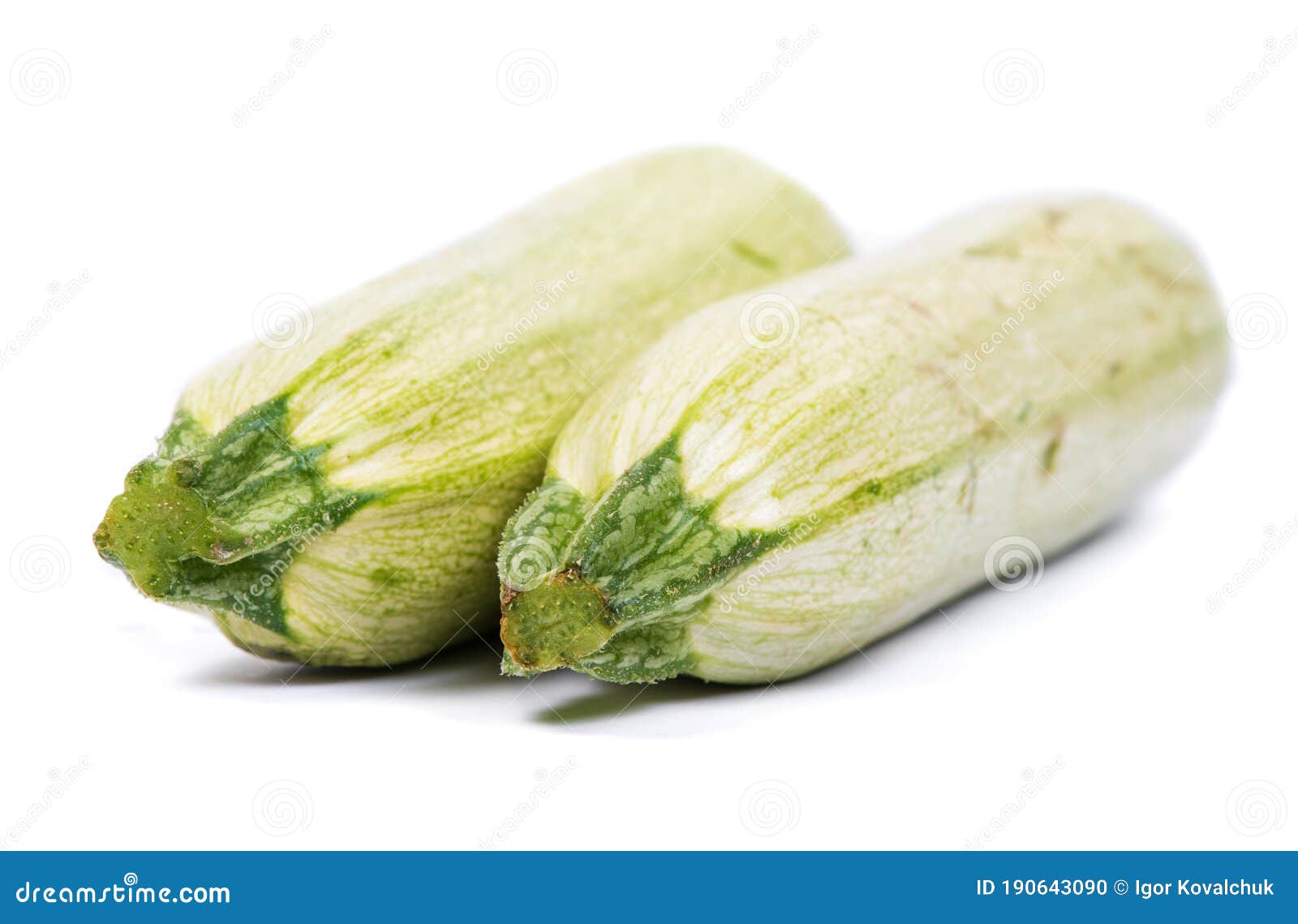 Two Fresh Vegetable Marrows Stock Photo - Image of shot, healthy: 190643090