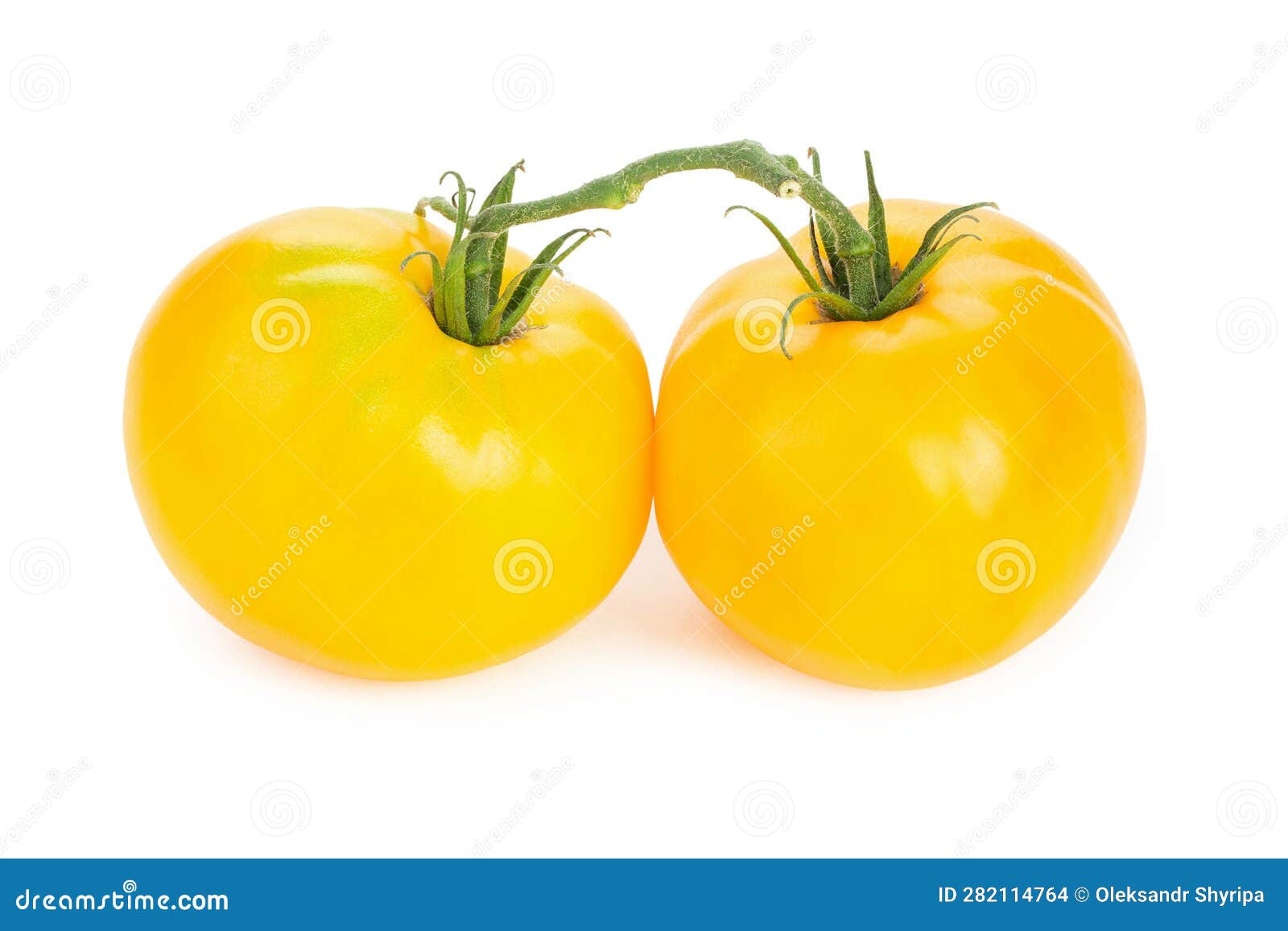 Two Fresh Yellow Tomatoes. Isolated on White Background Stock Photo ...
