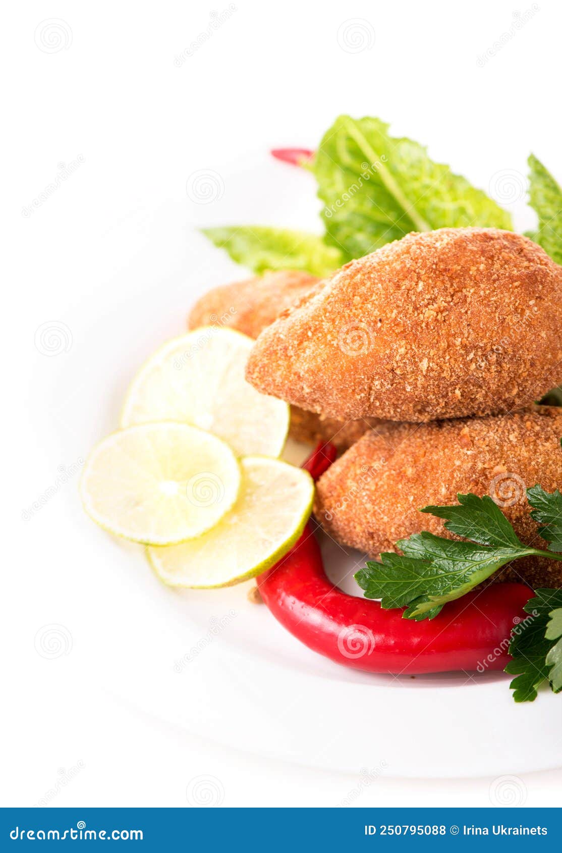 Two Fried Breaded Cutlet with Vegetables and Herbs on a Plate Isolated ...