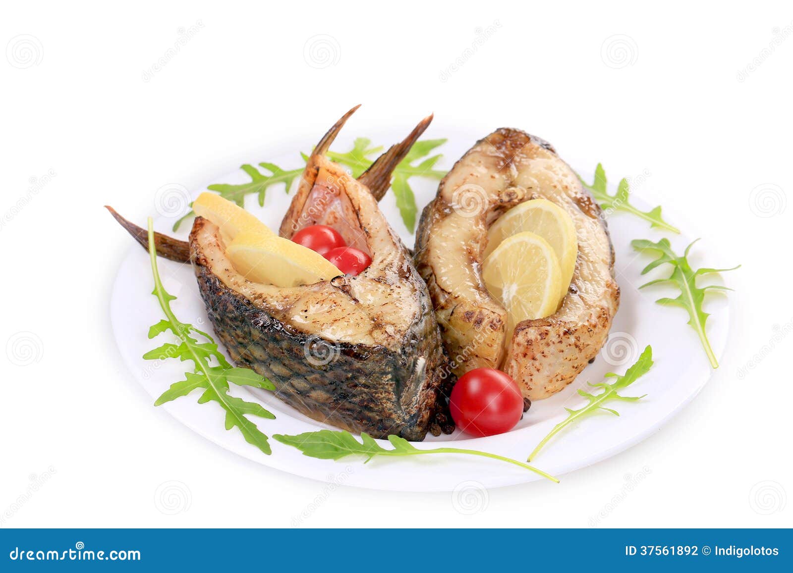 Two fried pieces of fish stock photo. Image of filet - 37561892