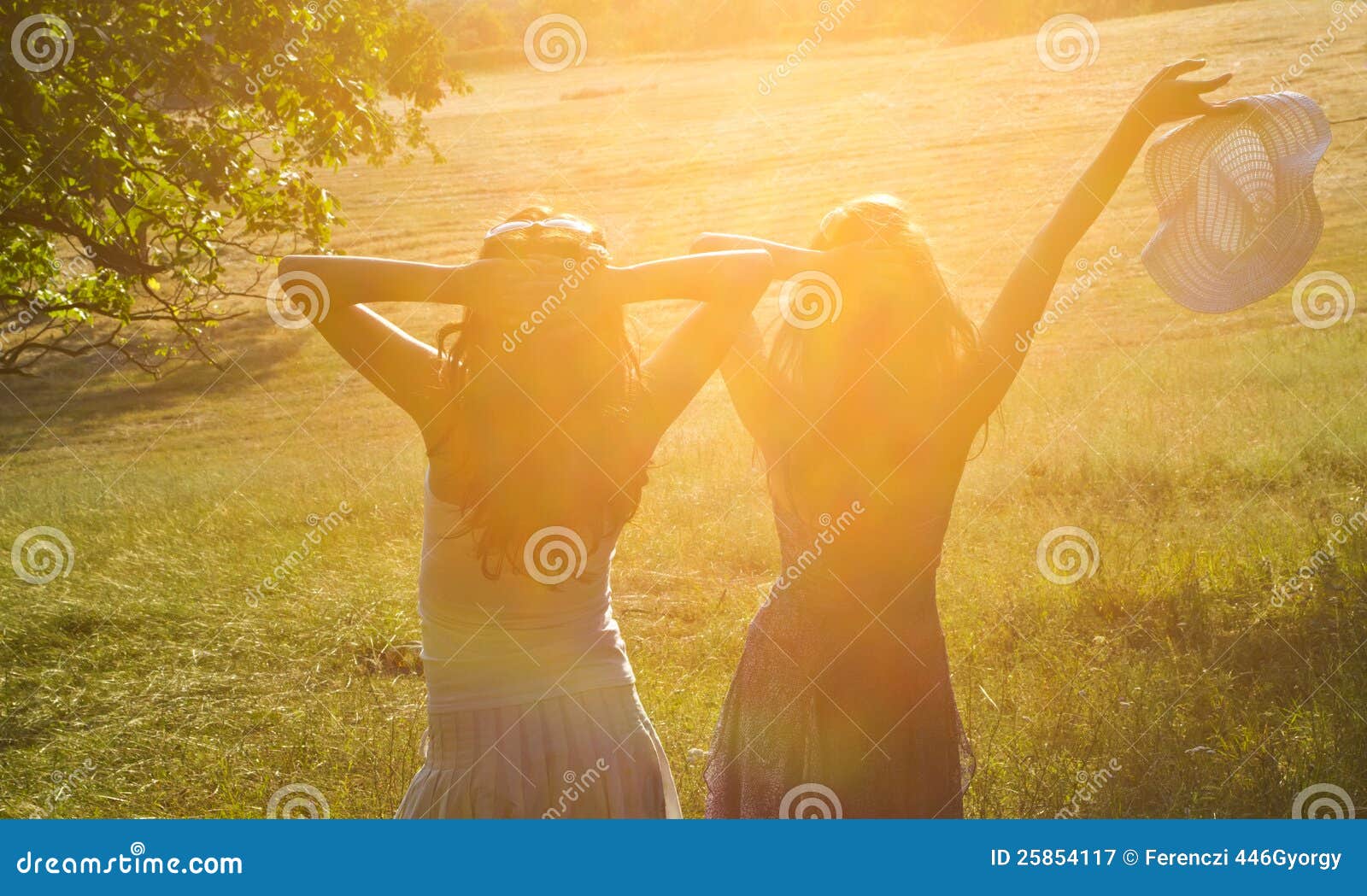 Two friends stock image. Image of hand, flower, happiness - 25854117