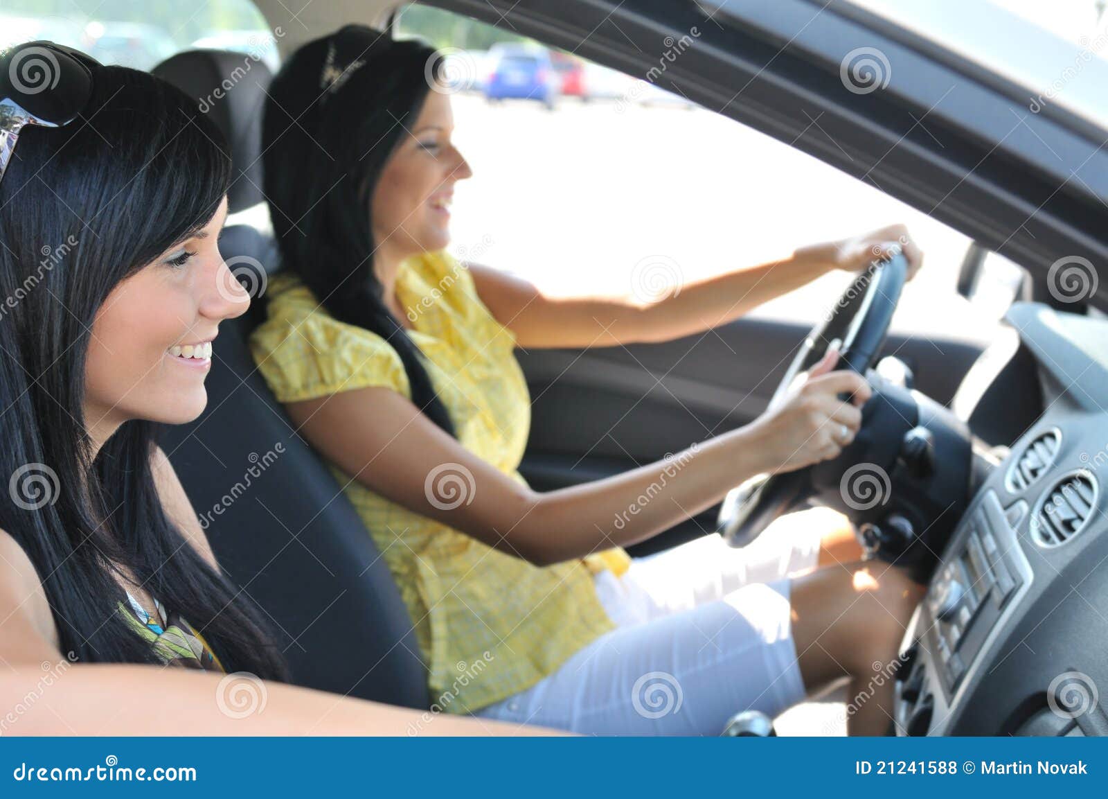 Two friends driving in car stock photo. Image of detail - 21241588
