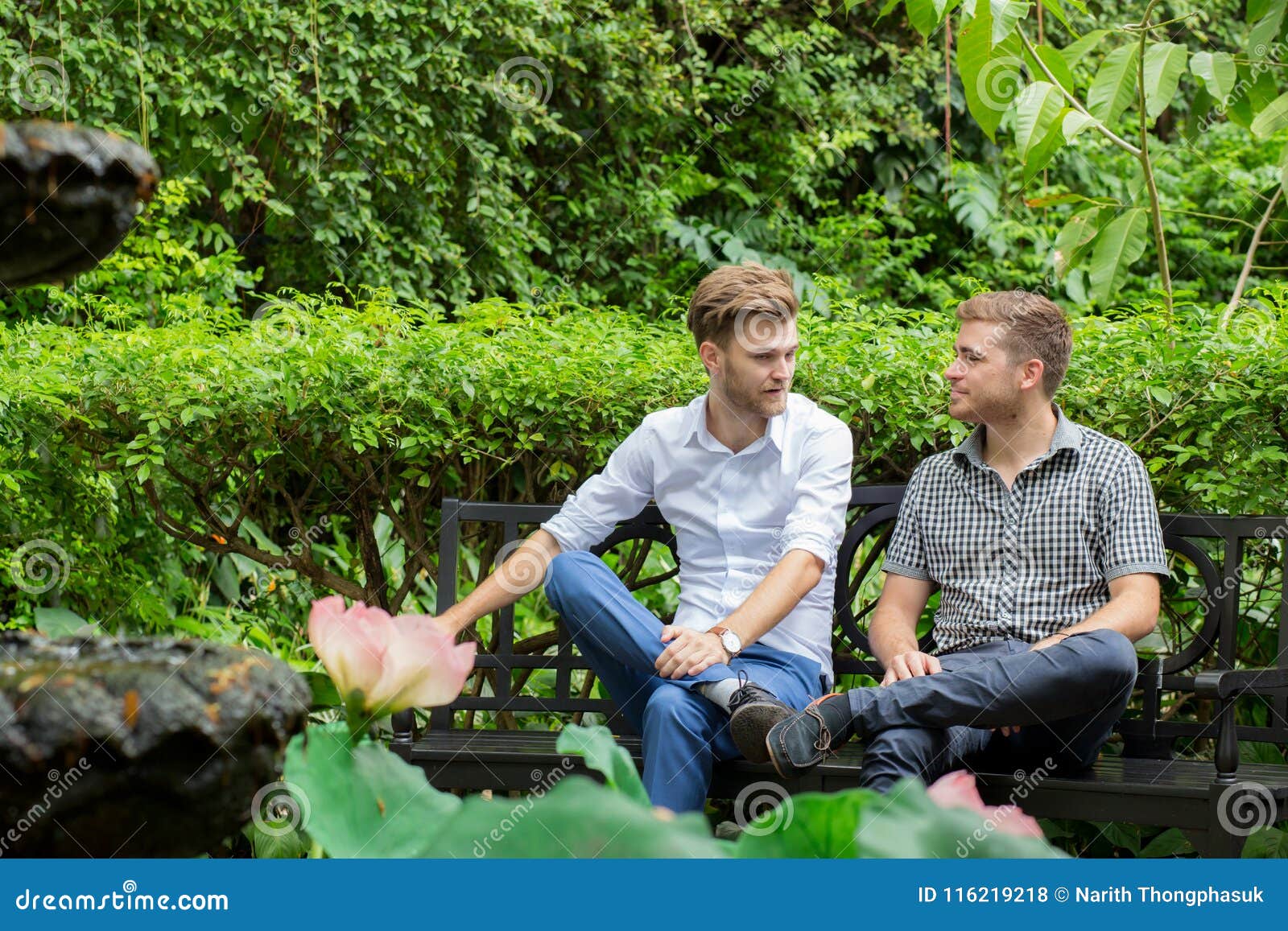 Two Friends Men Talking Sitting in a Garden. Stock Photo - Image of ...