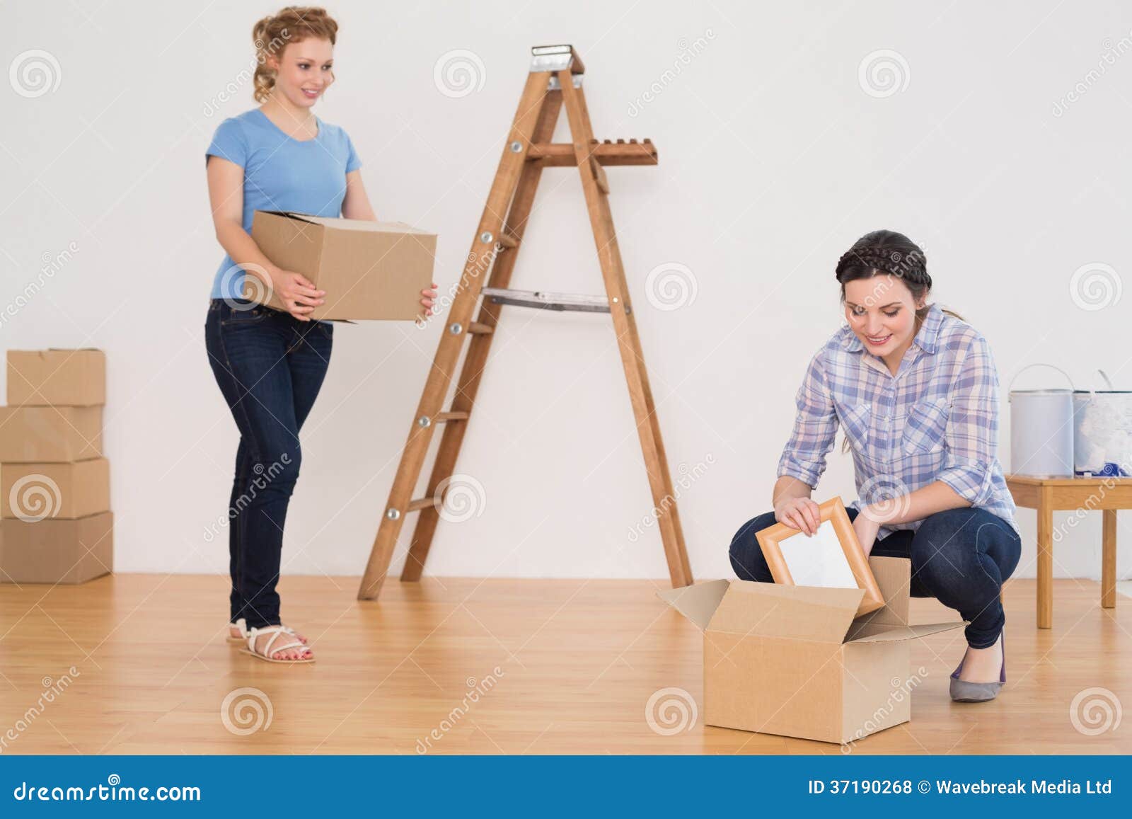 Two Friends Moving Together in a New House Stock Photo - Image of flat ...