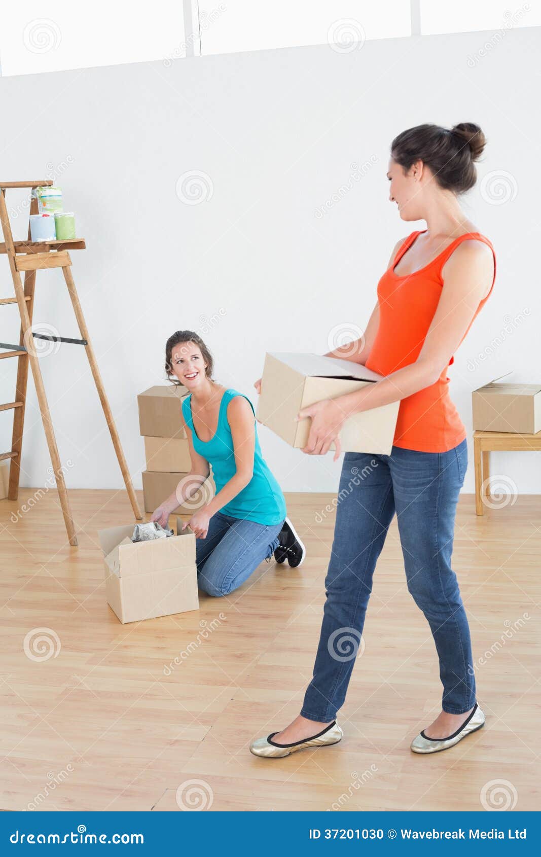 Two Friends Moving Together in a New House Stock Photo - Image of ...