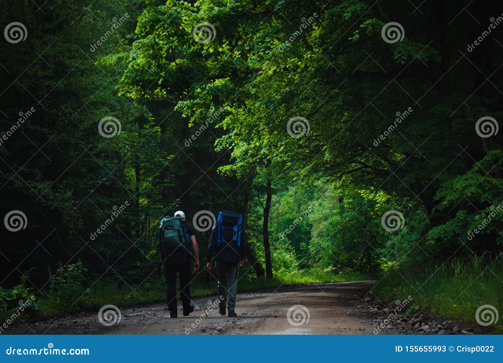 Two Friends Travel in Mountains with Backpacks Stock Image - Image of ...
