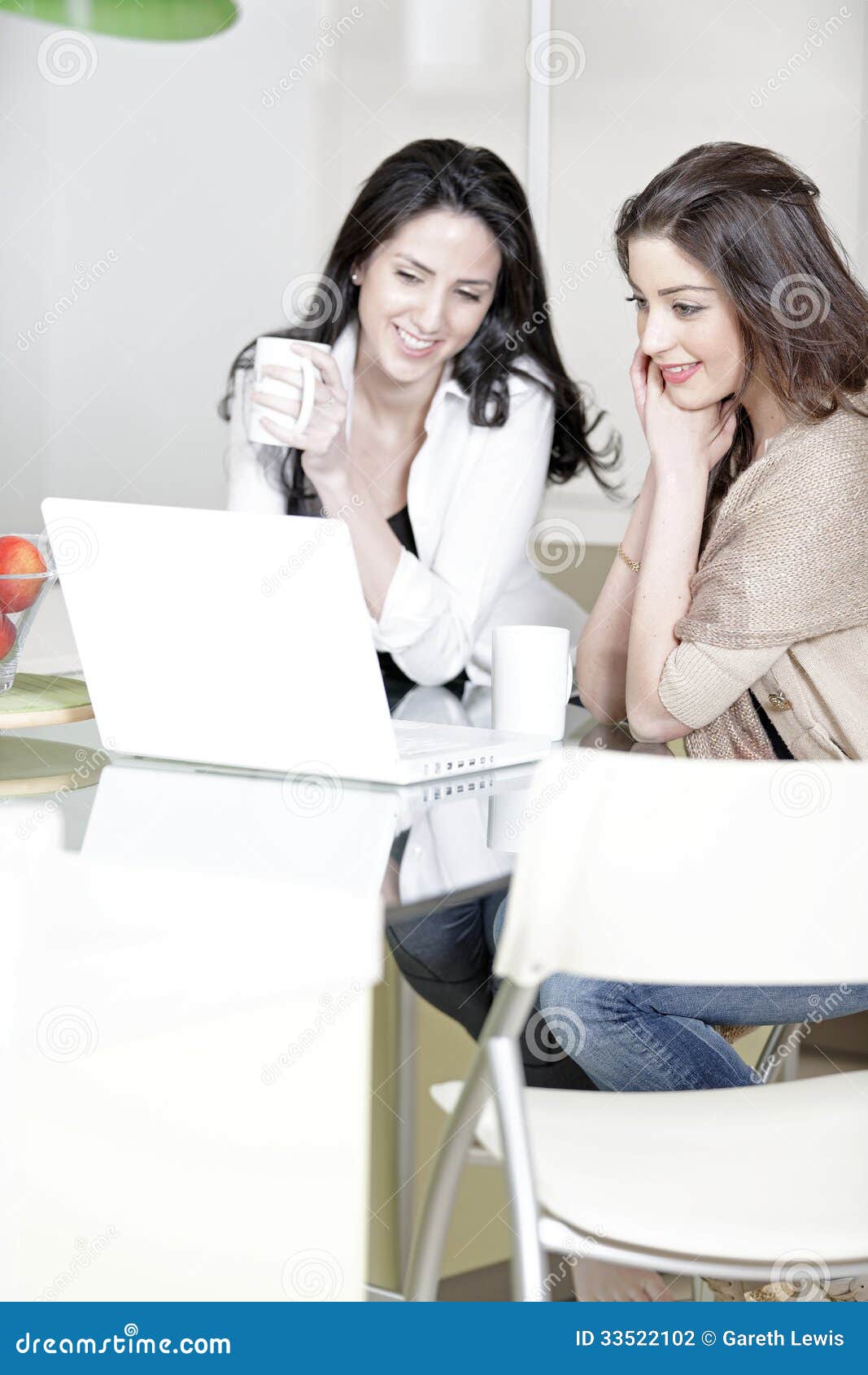Two friends using a laptop stock photo. Image of happy - 33522102