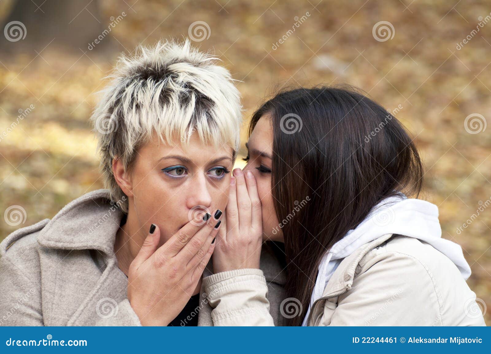 Two Friends Whispering Secrets Stock Image - Image of friendship, girl ...