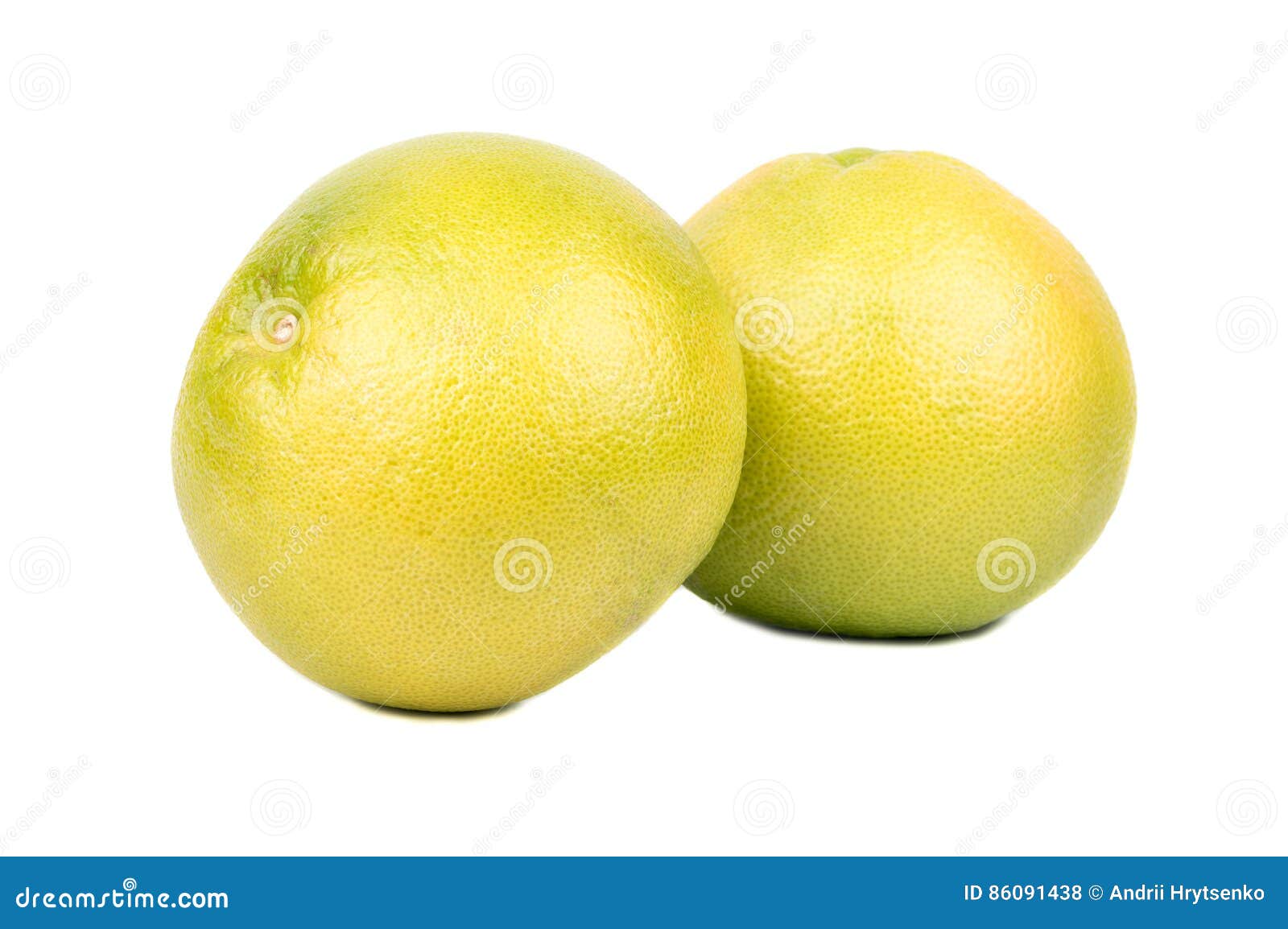 Two fruit Oroblanco stock photo. Image of isolated, vibrant - 86091438