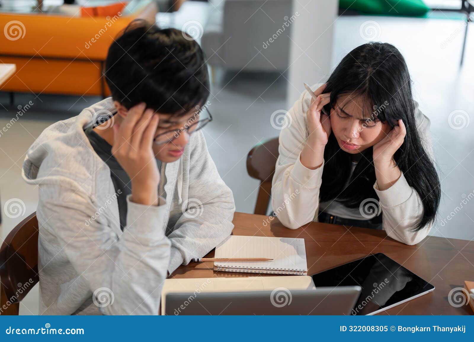 Two Frustrated Students are Having a Problem with Their Project and ...