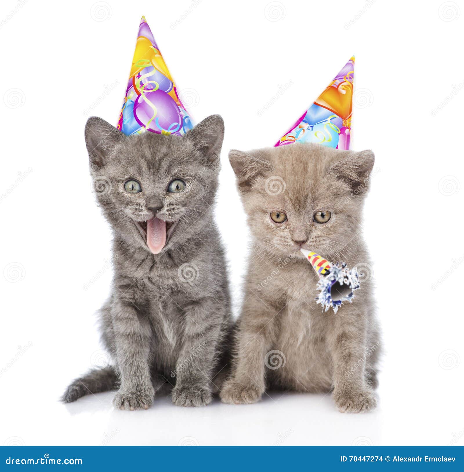 Cats With Party Hats
