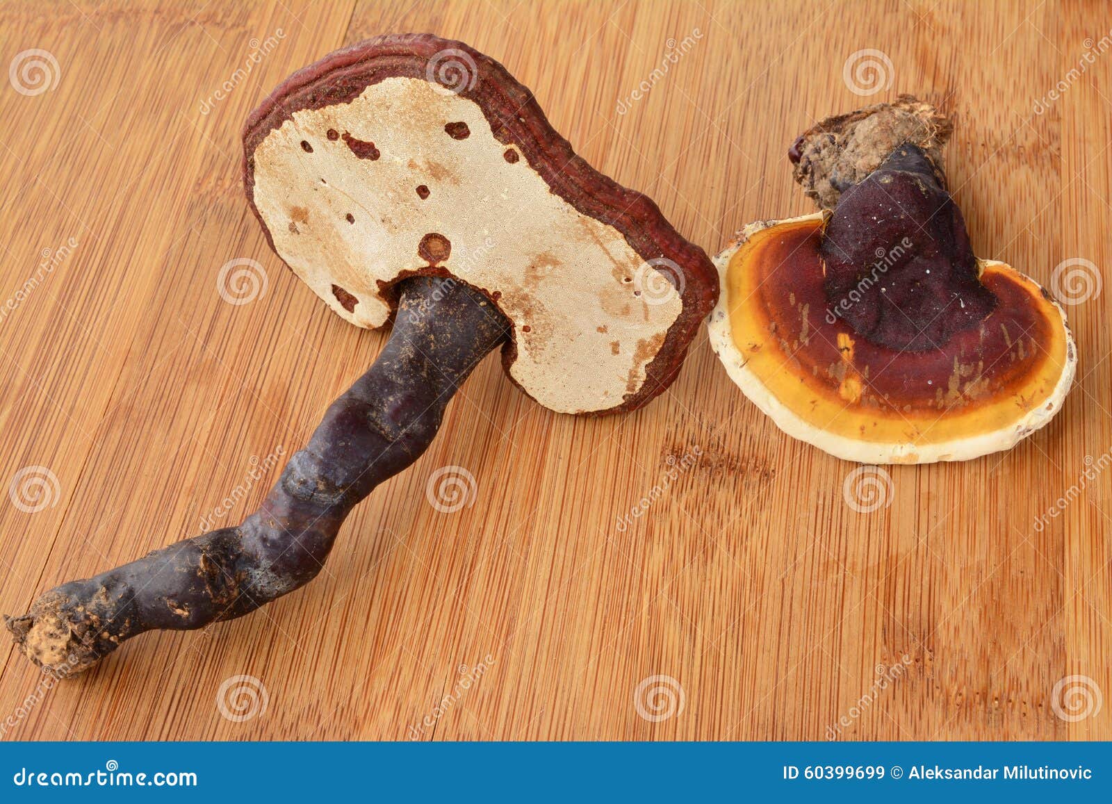 Two Ganoderma Lucidum Mushrooms Stock Image - Image of giant, healthy ...