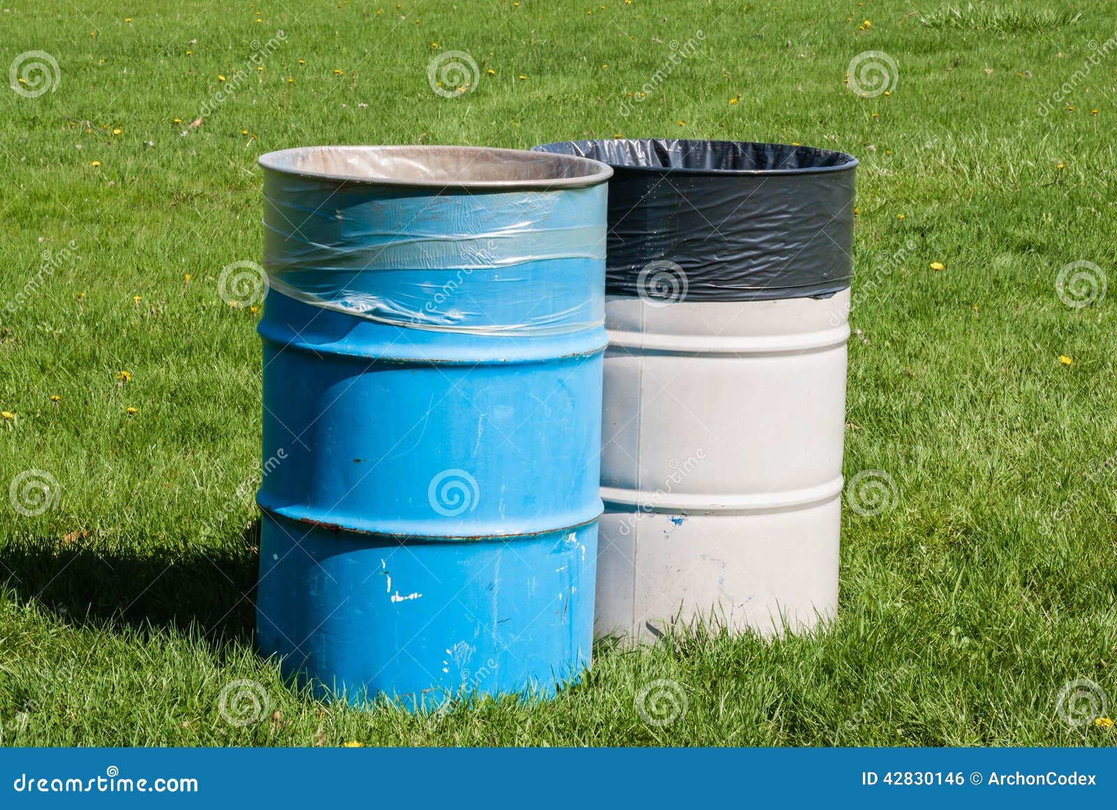 Two Garbage Bins on Green Grass. Stock Photo - Image of disposal ...