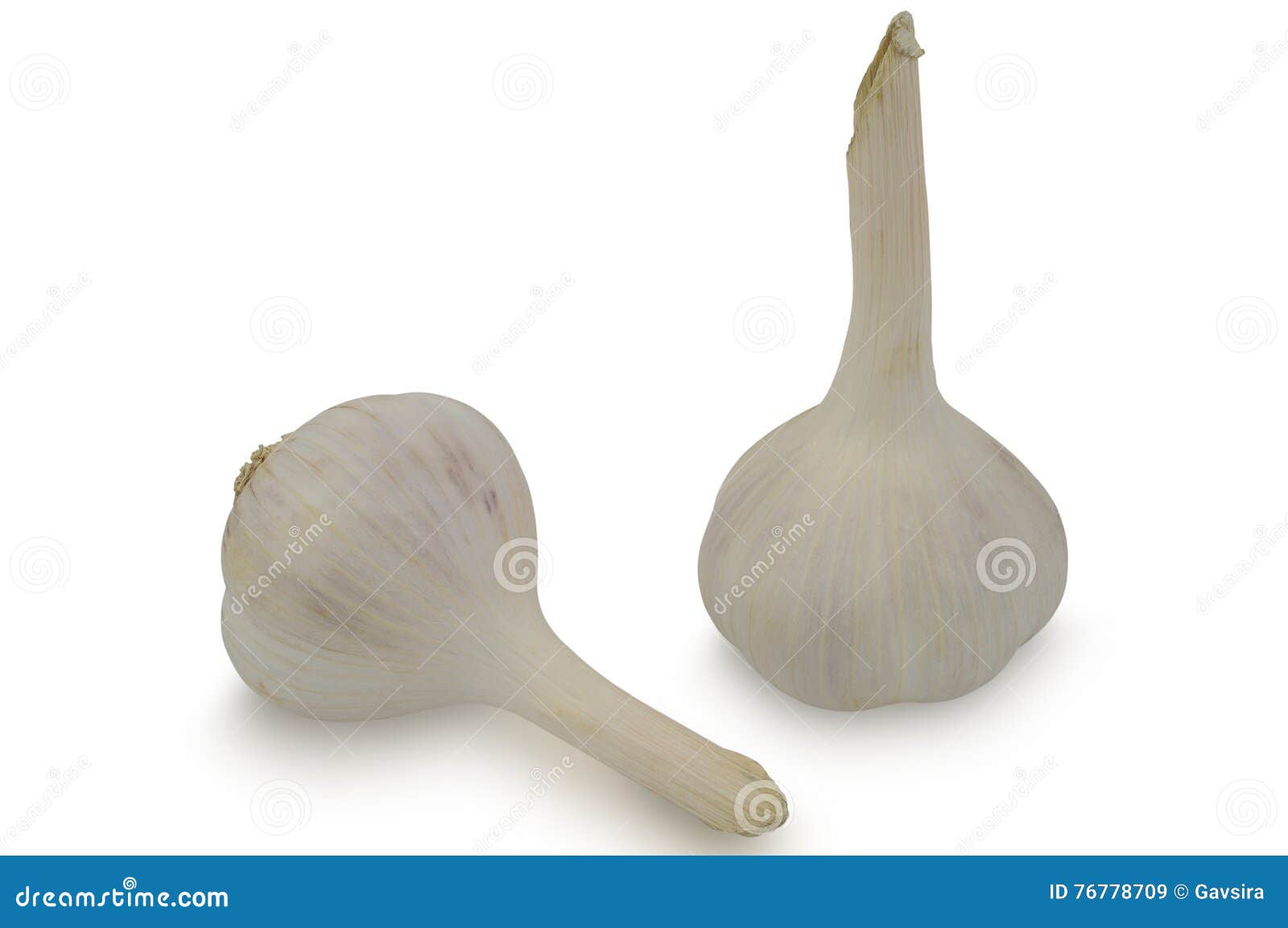 Two Garlic Isolated on White Background Stock Image - Image of flavours ...