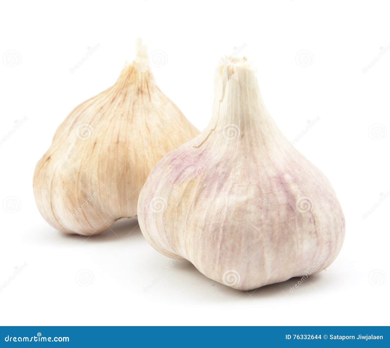 Two garlic stock photo. Image of plant, organic, food - 76332644