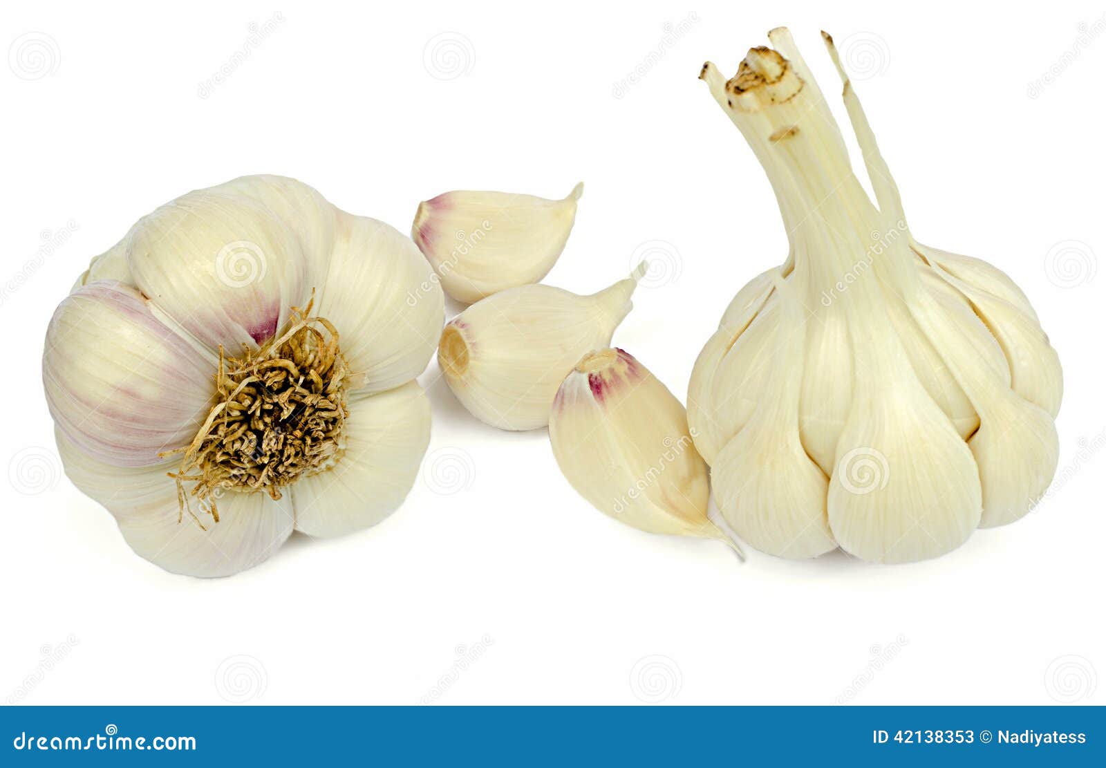 Two garlic stock image. Image of family, color, object - 42138353