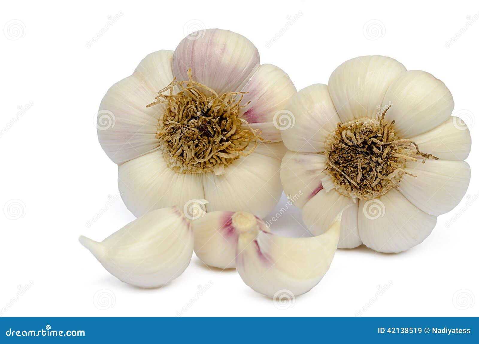 Two garlic stock image. Image of object, organic, healthy - 42138519