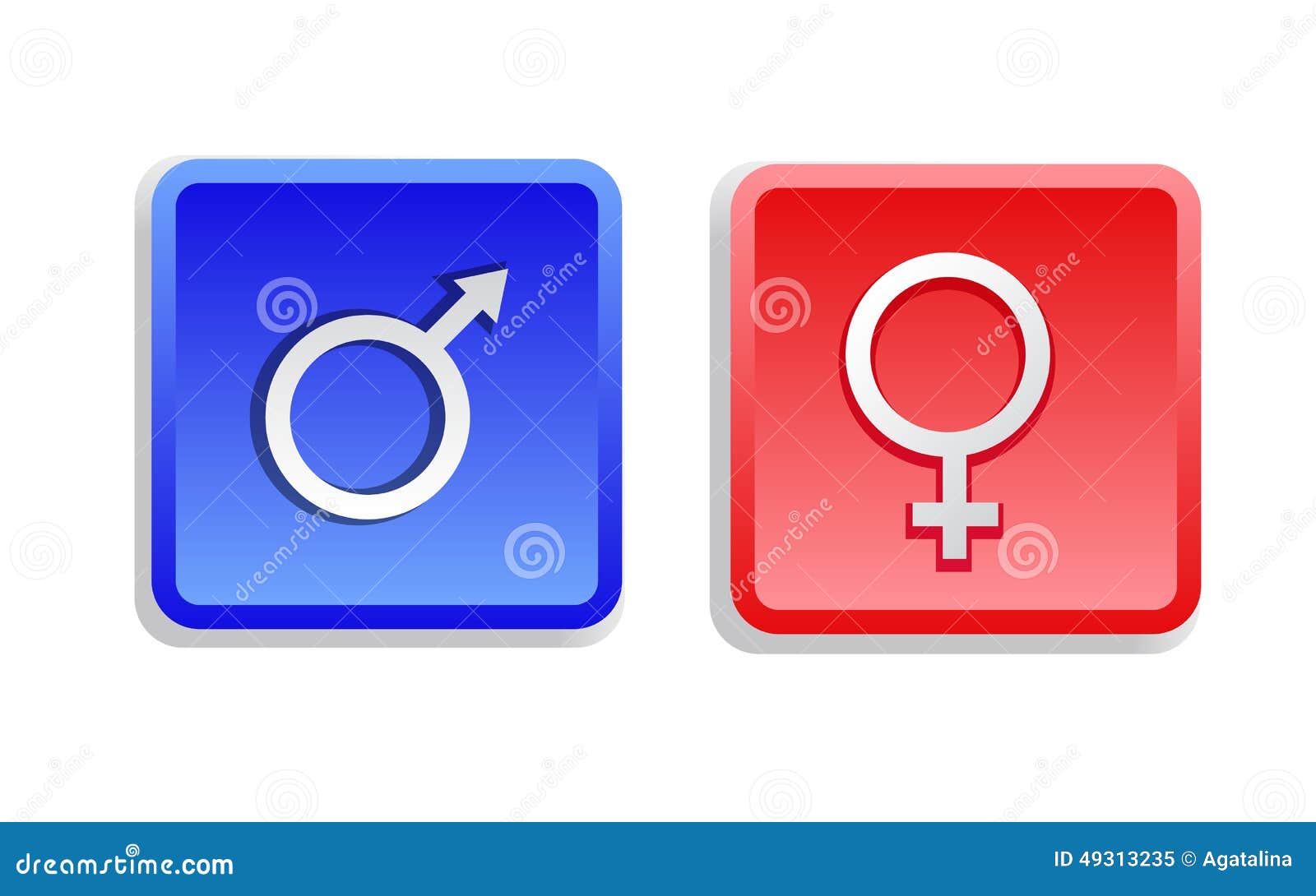Two Gender Sign Buttons stock vector. Illustration of keypad - 49313235