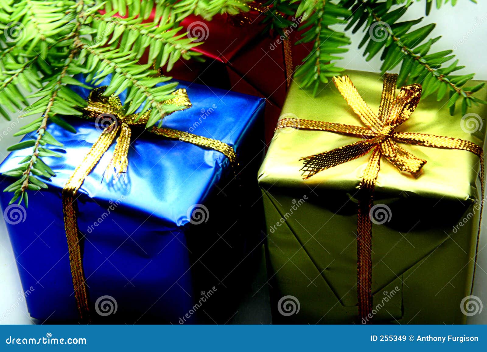 Two Gifts stock image. Image of scene, party, festivity - 255349