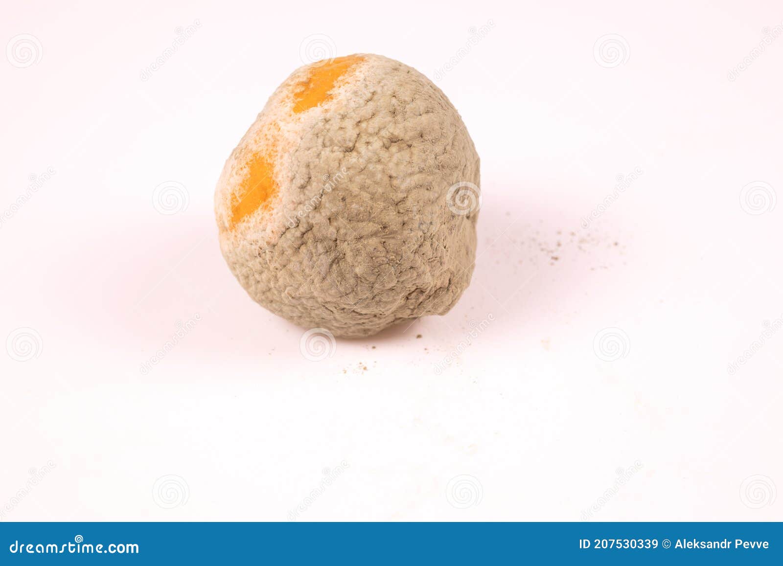 Two Ginger Spots Peep on Completely Moldy Tangerine Stock Image - Image ...