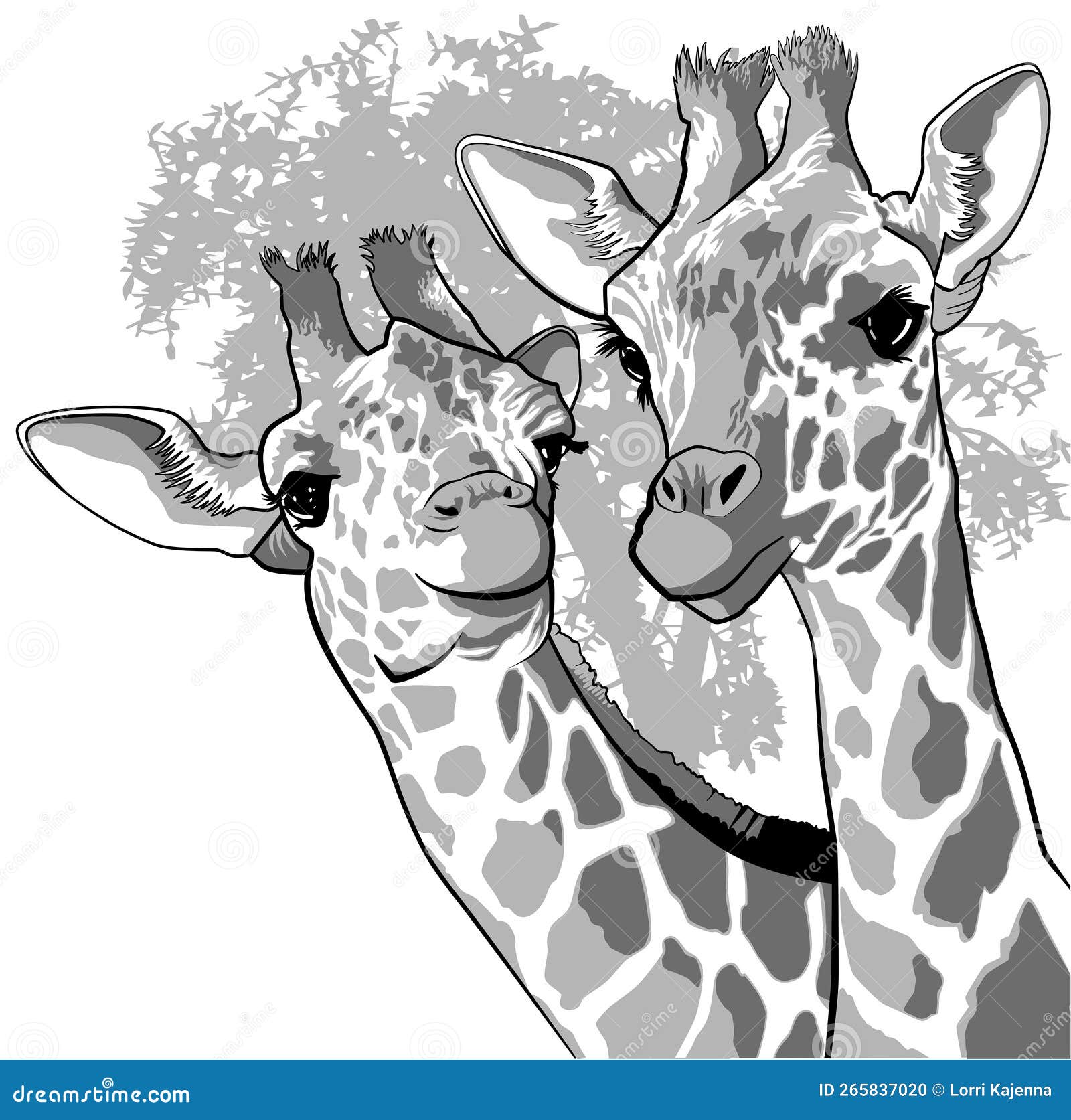 Two Giraffes in Black and White Stock Vector - Illustration of dairy ...